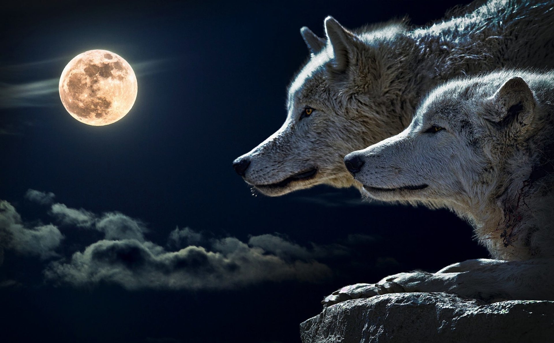 Moonlit Watchers: Wolves Under the Night Sky