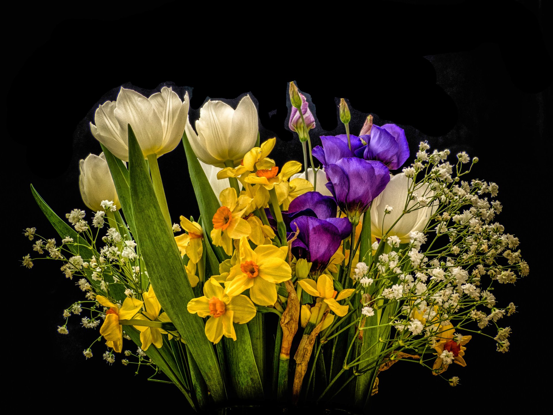Spring Flowers Image - ID: 297891 - Image Abyss