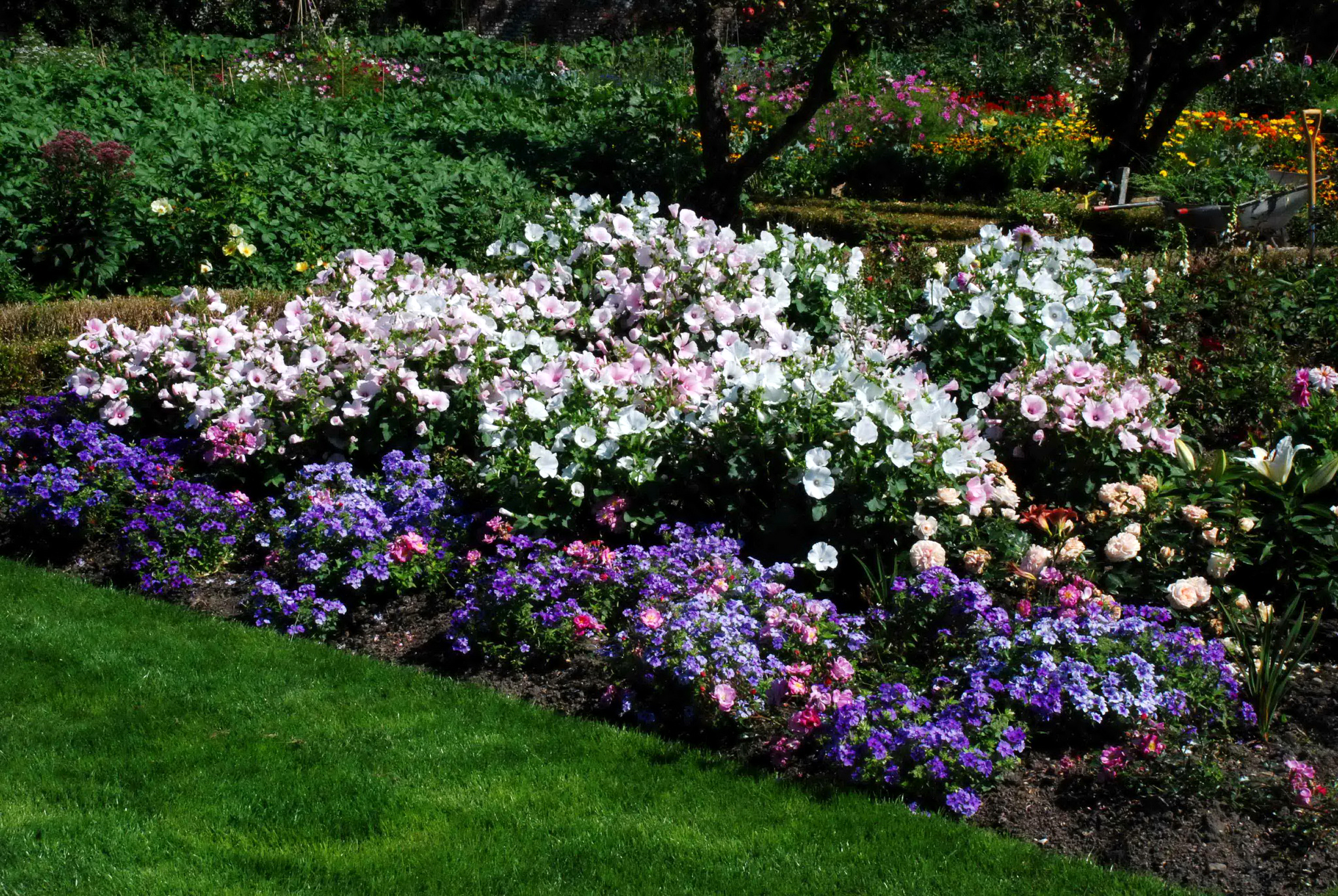Download Flower Spring Man Made Garden Image