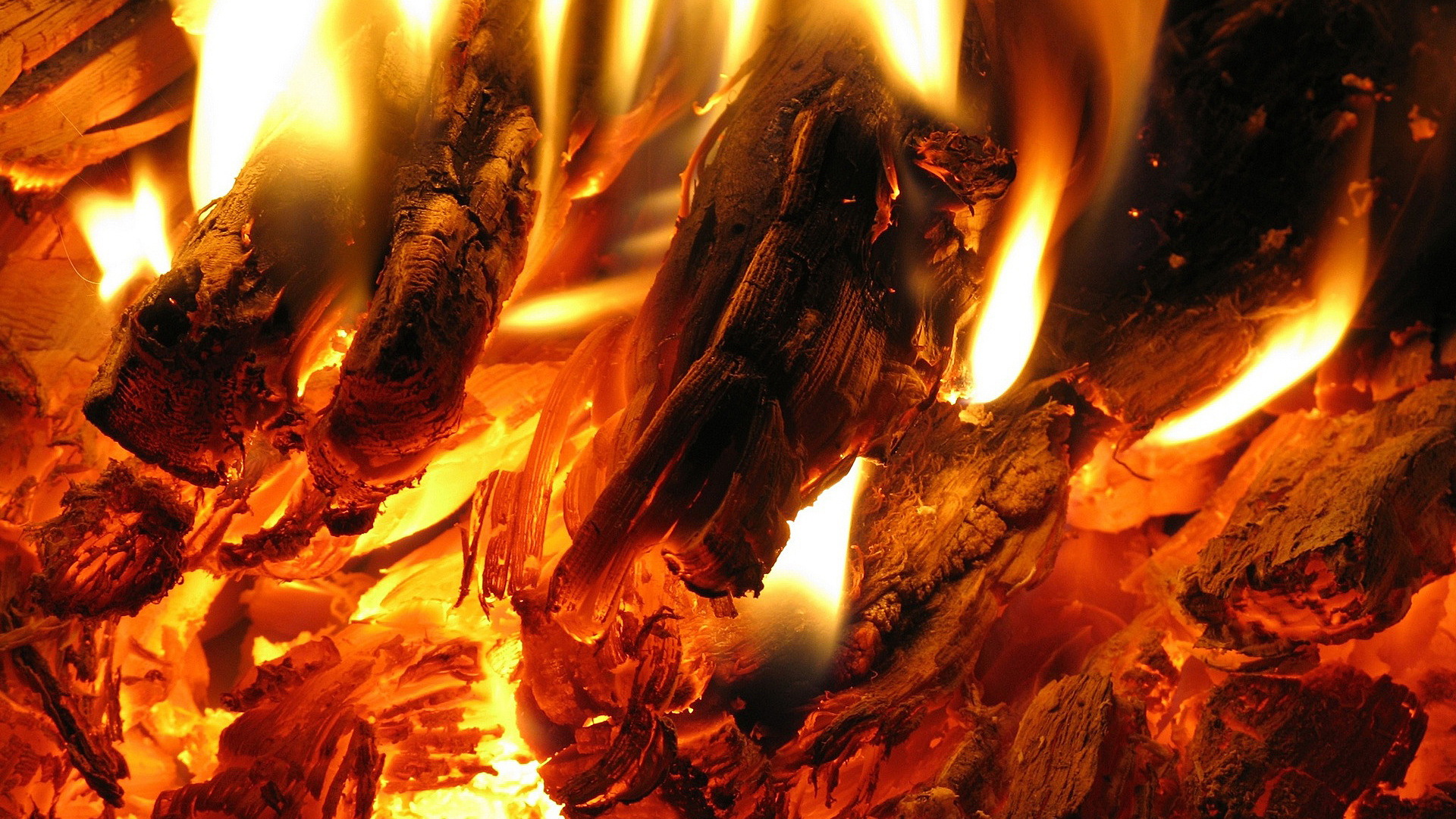 Fire Picture - Image Abyss