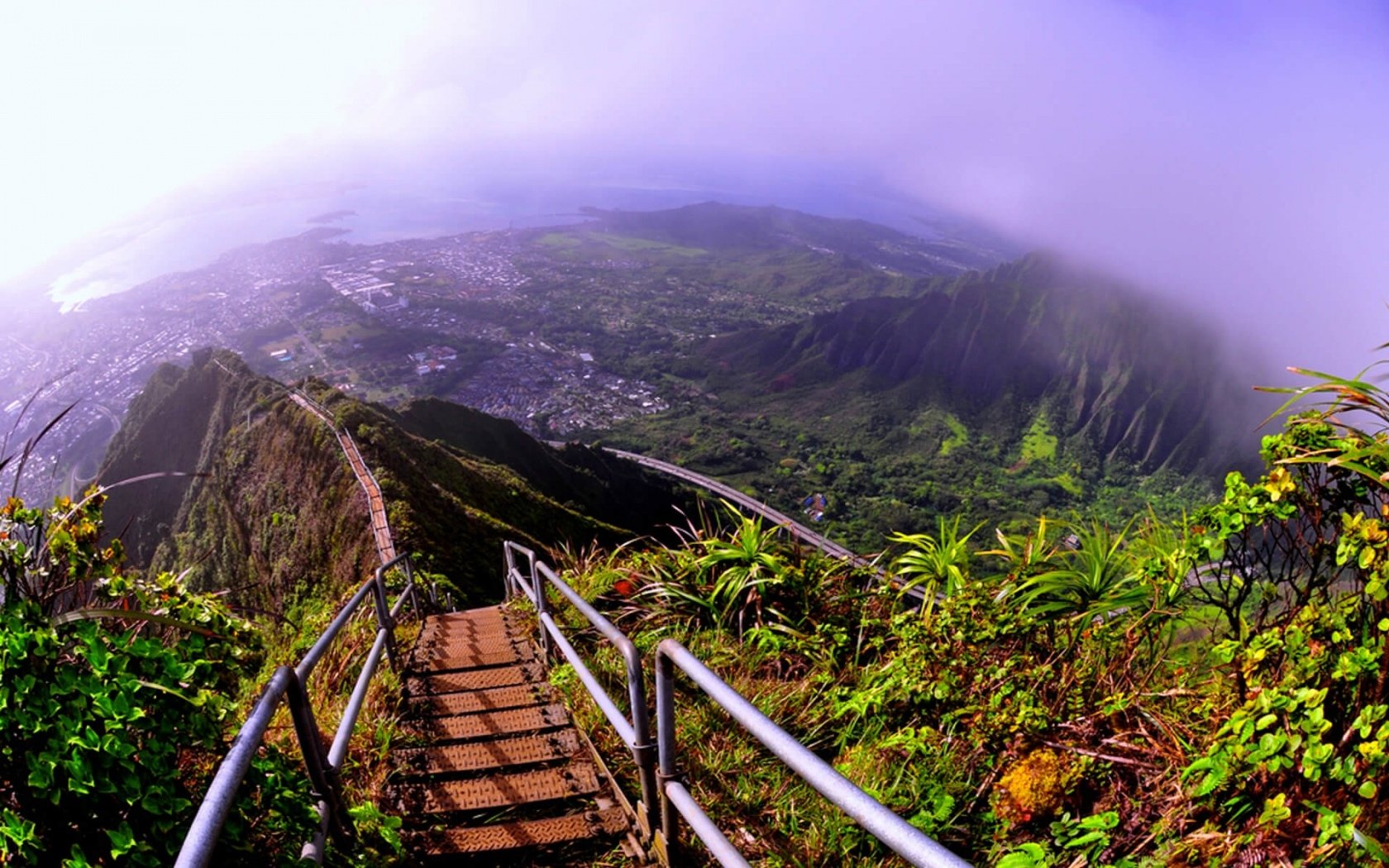Hiking the Misty Stairs: A Lush Hawaiian Valley Vista