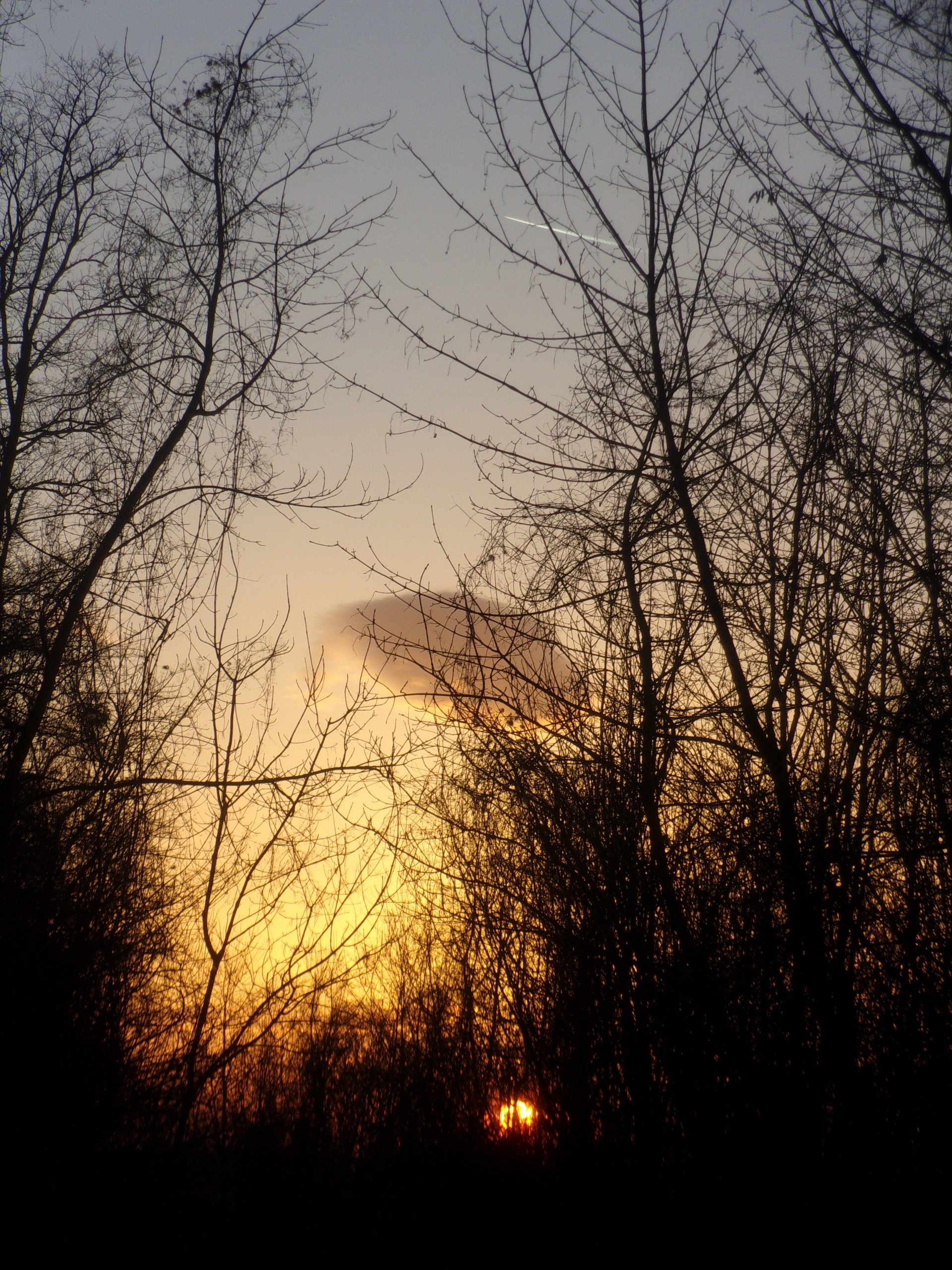 Download Nature Sunset Image by jastated