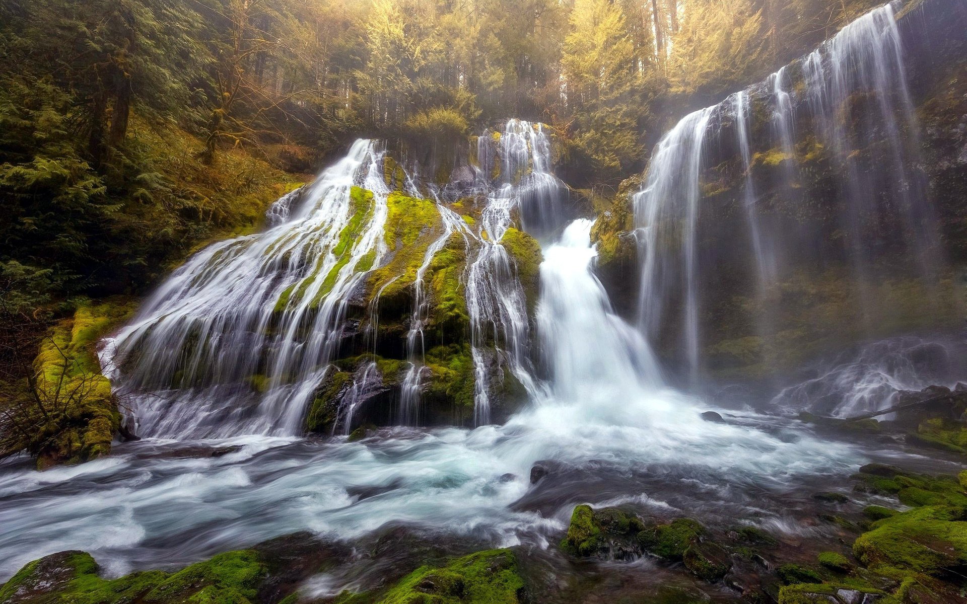 Misty Serenity: A Waterfall in the Forest Fog