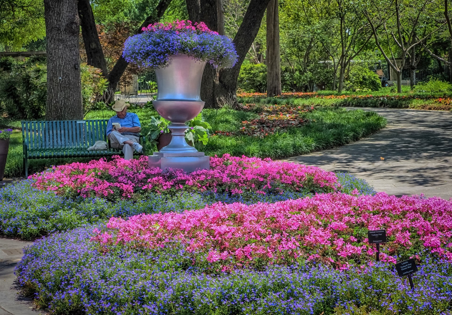 Spring Blooms in the Park: A Vibrant Floral Photography Delight