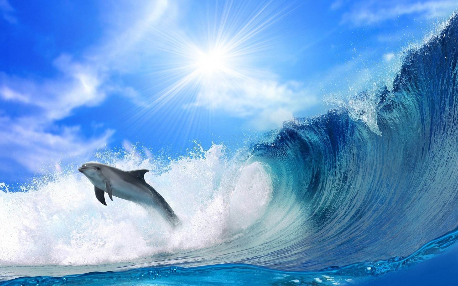 Dolphin Dancing in Ocean Waves