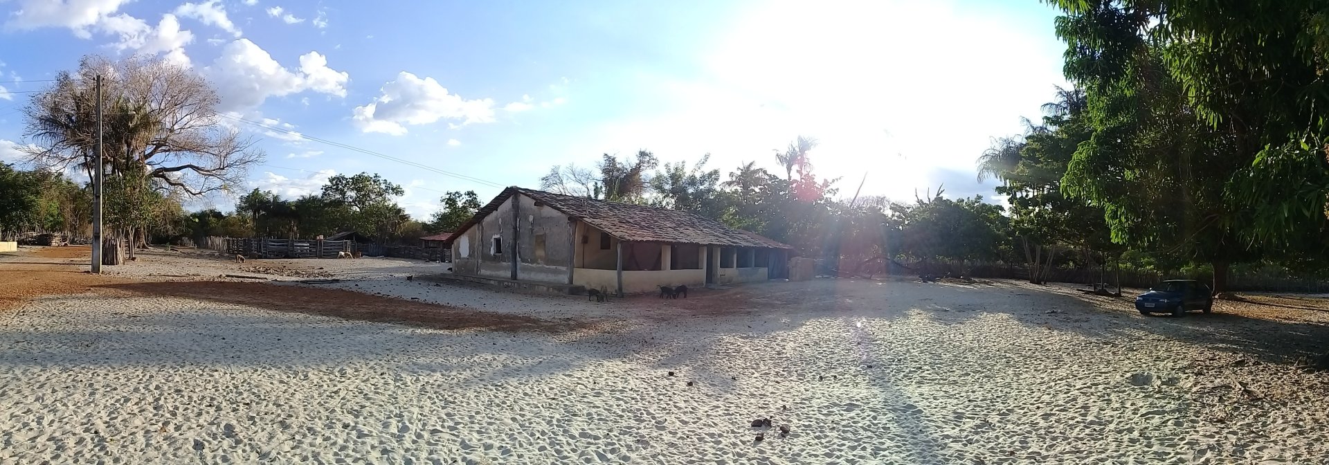 Sunlit Man-Made House Nestled in Nature by Lucas300