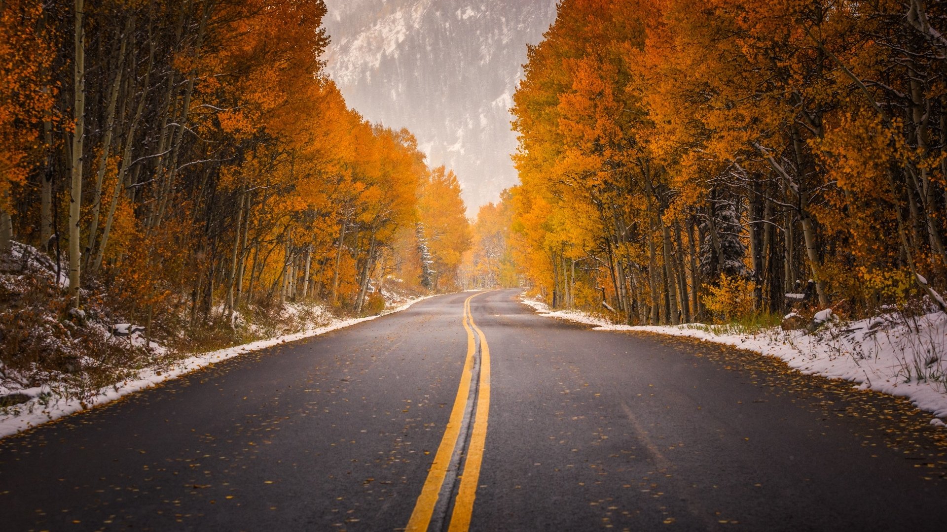 Download Man Made Road Image