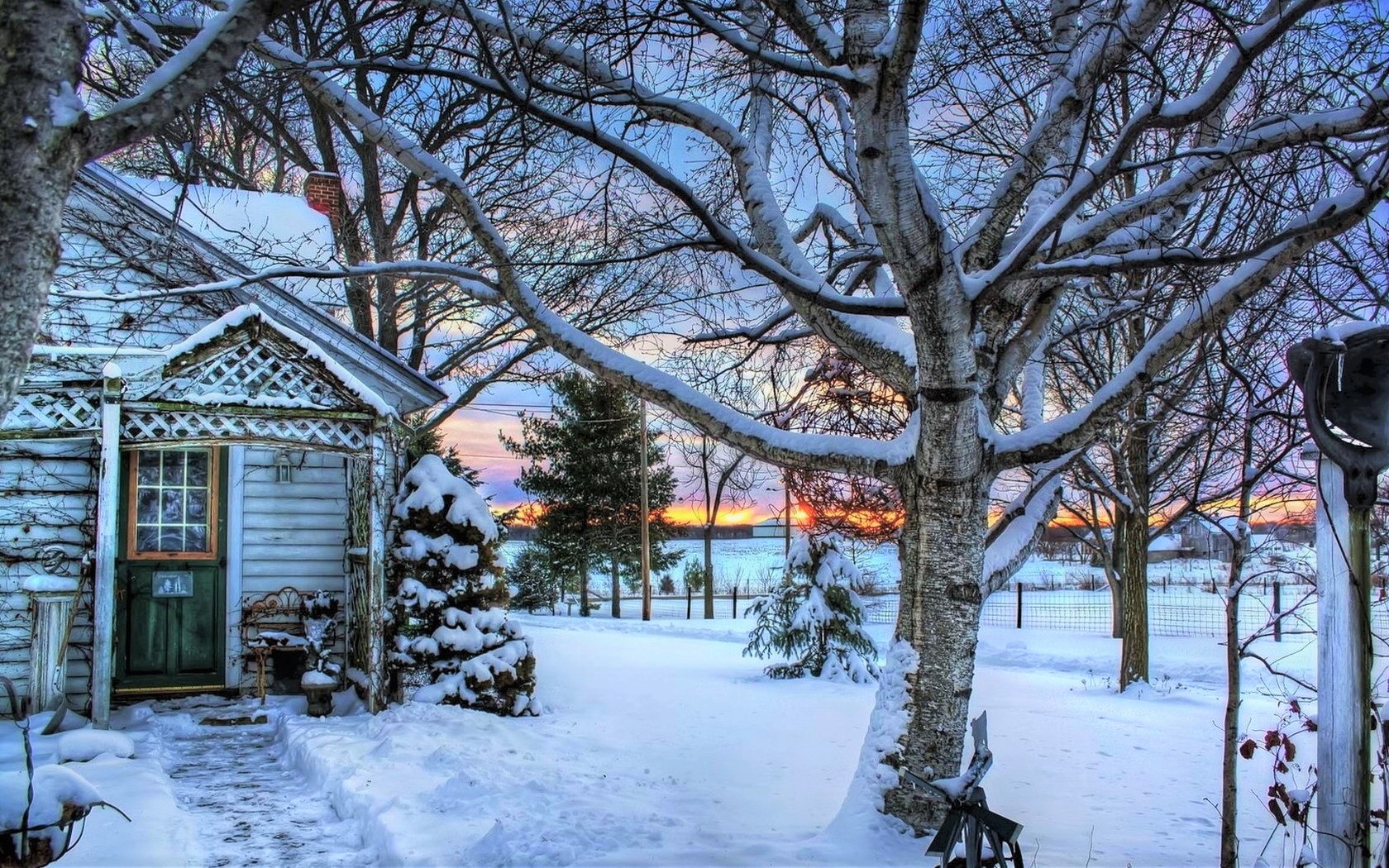 Winter Sunset: Snow-Covered Tree by the Cozy House
