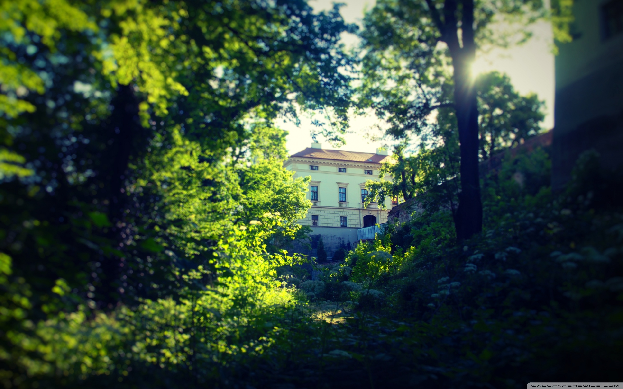 Download Man Made House Image