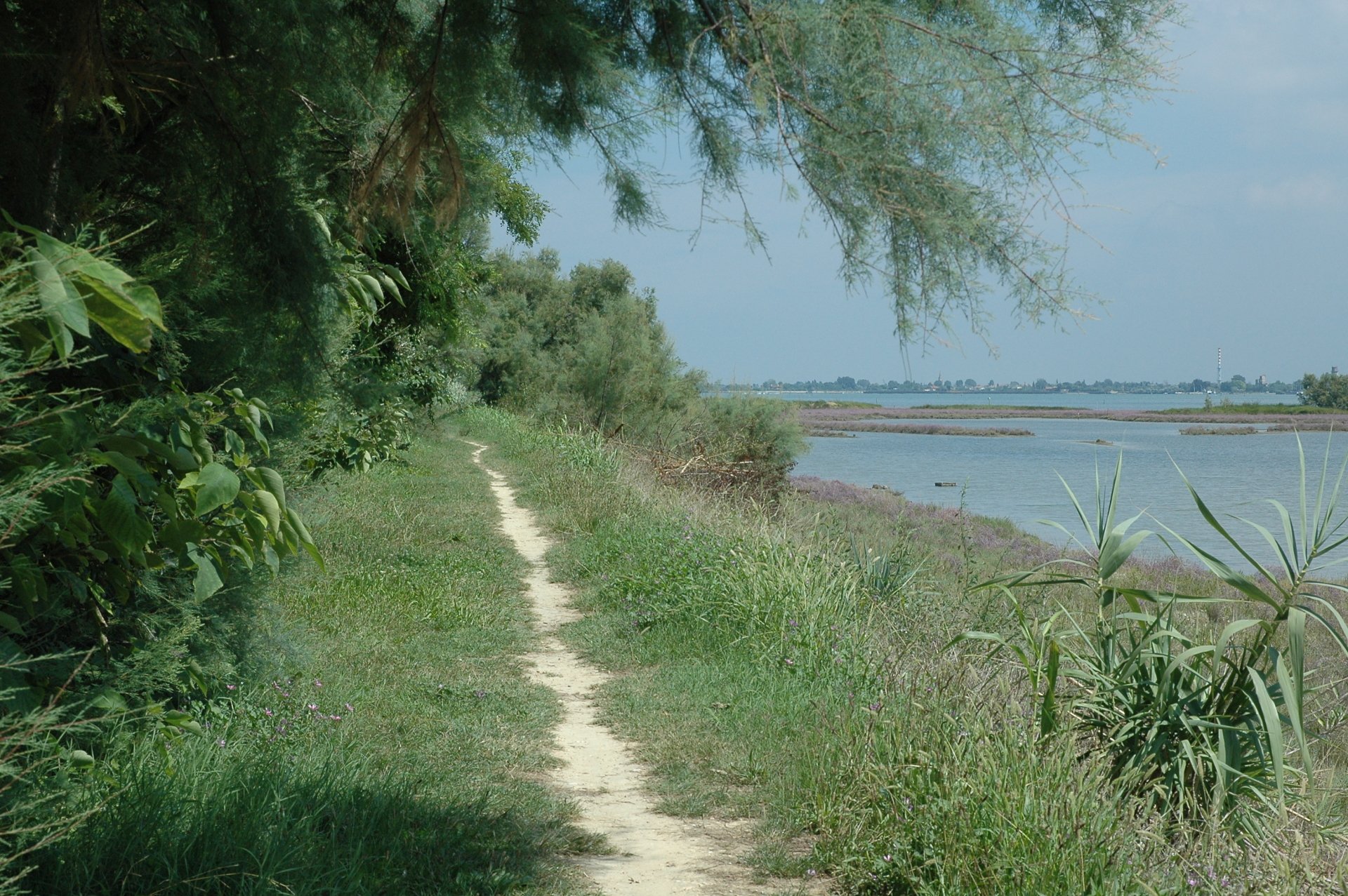 Download Man Made Path Image by creso