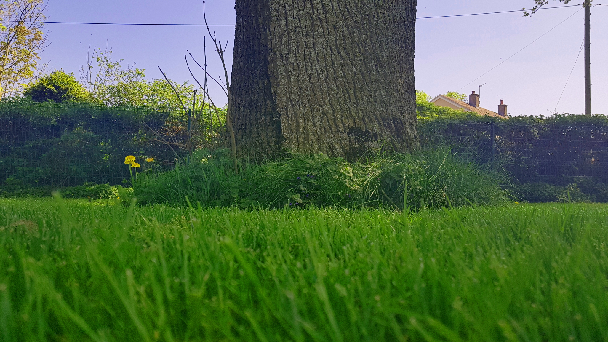 View from the ground by Arcaedes - Image Abyss