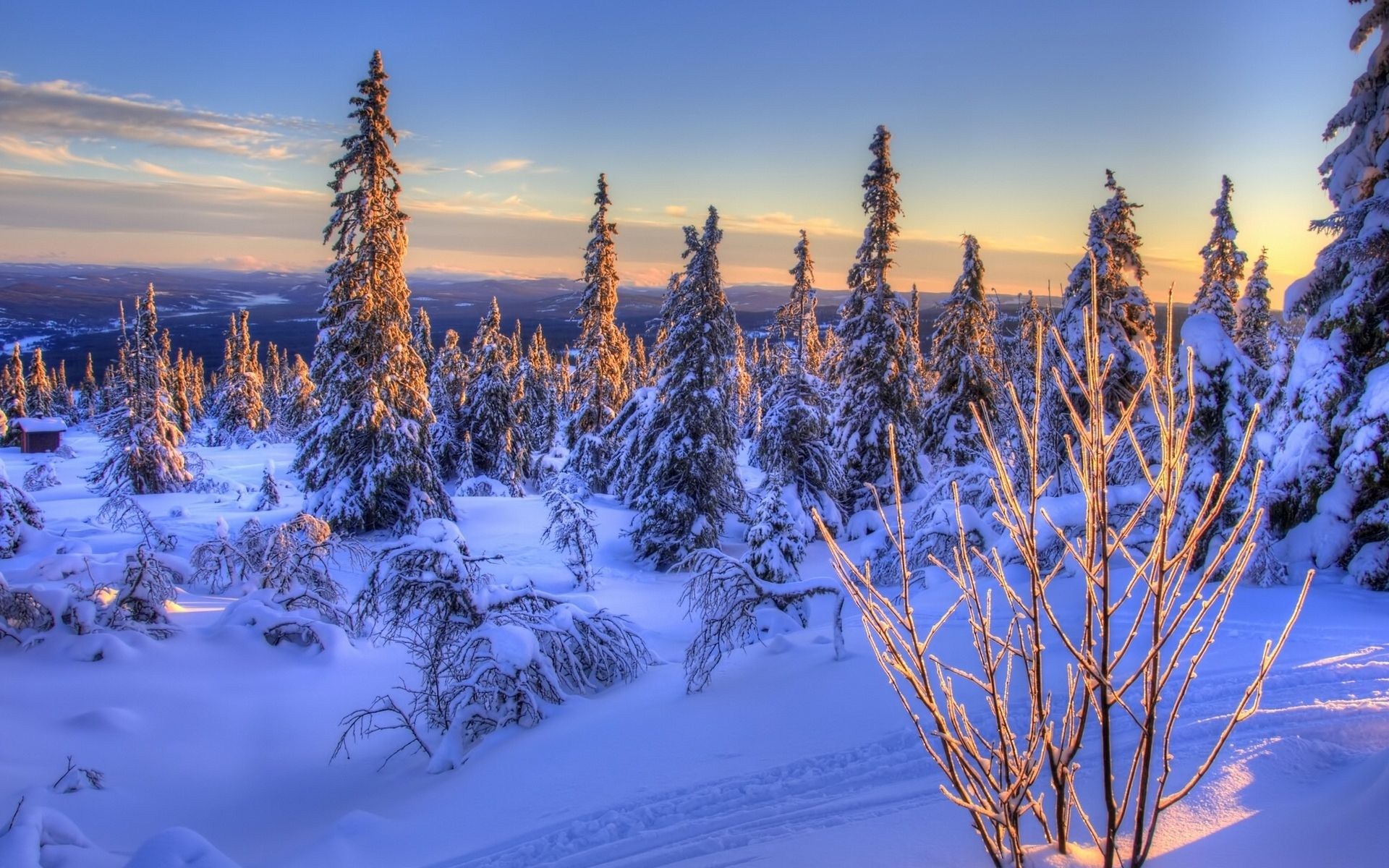 Winter Picture - Image Abyss