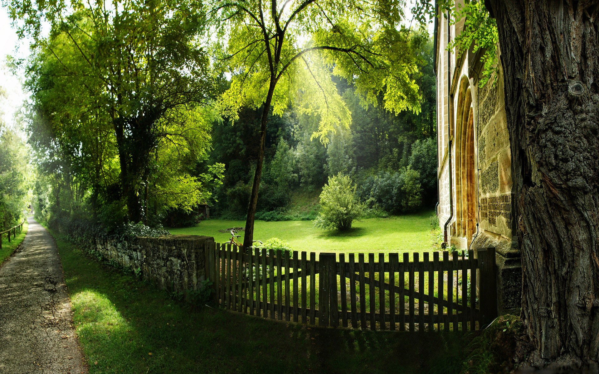 Download Greenery Path House Tree Door Fence Photography Place Image