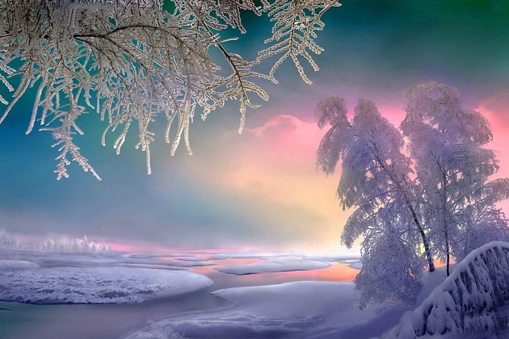 Download Water Snow Tree Sunset Nature Winter Winter Sunset Image