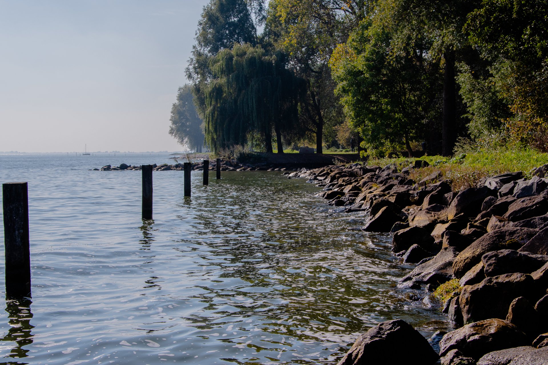 Shore Image - ID: 307489 - Image Abyss