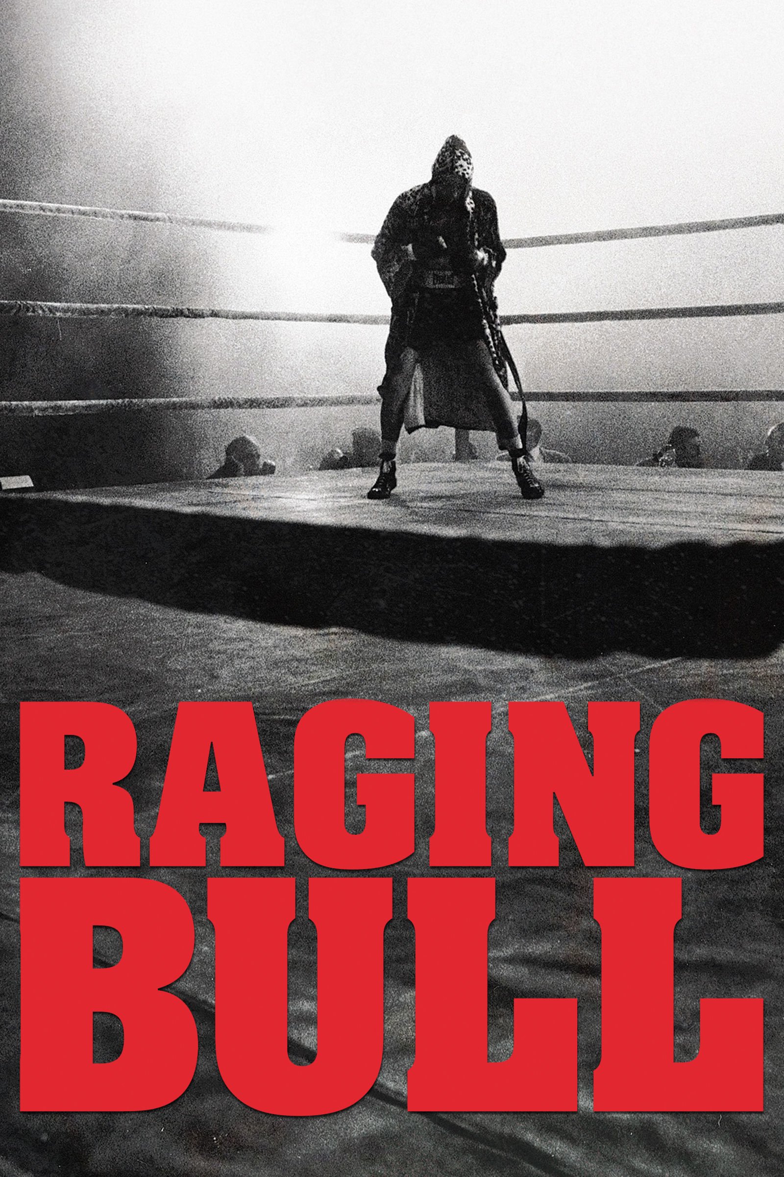Raging Bull - Desktop Wallpapers, Phone Wallpaper, PFP, Gifs, and More!