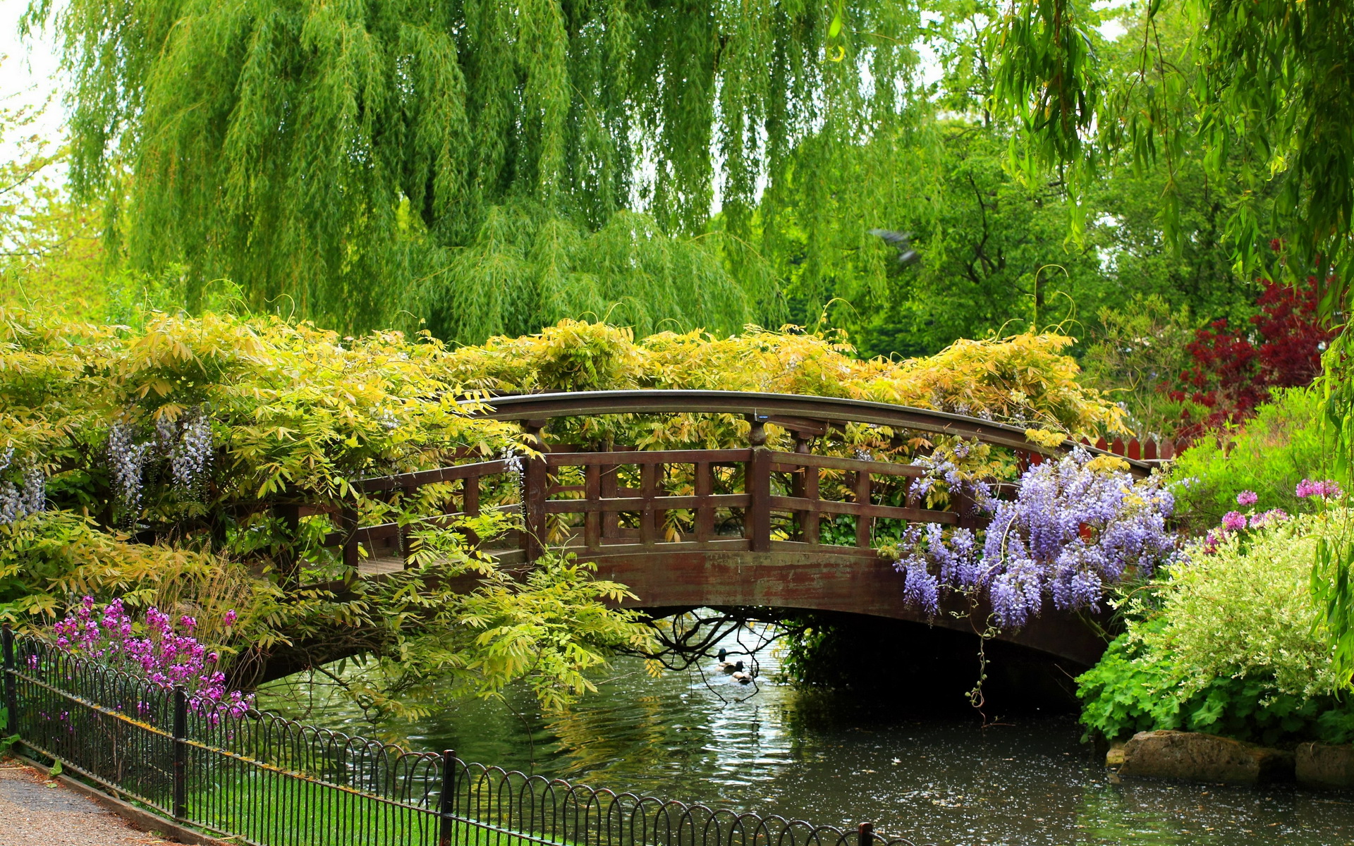 Download Pond Flower Bush Garden Spring Man Made Bridge Image