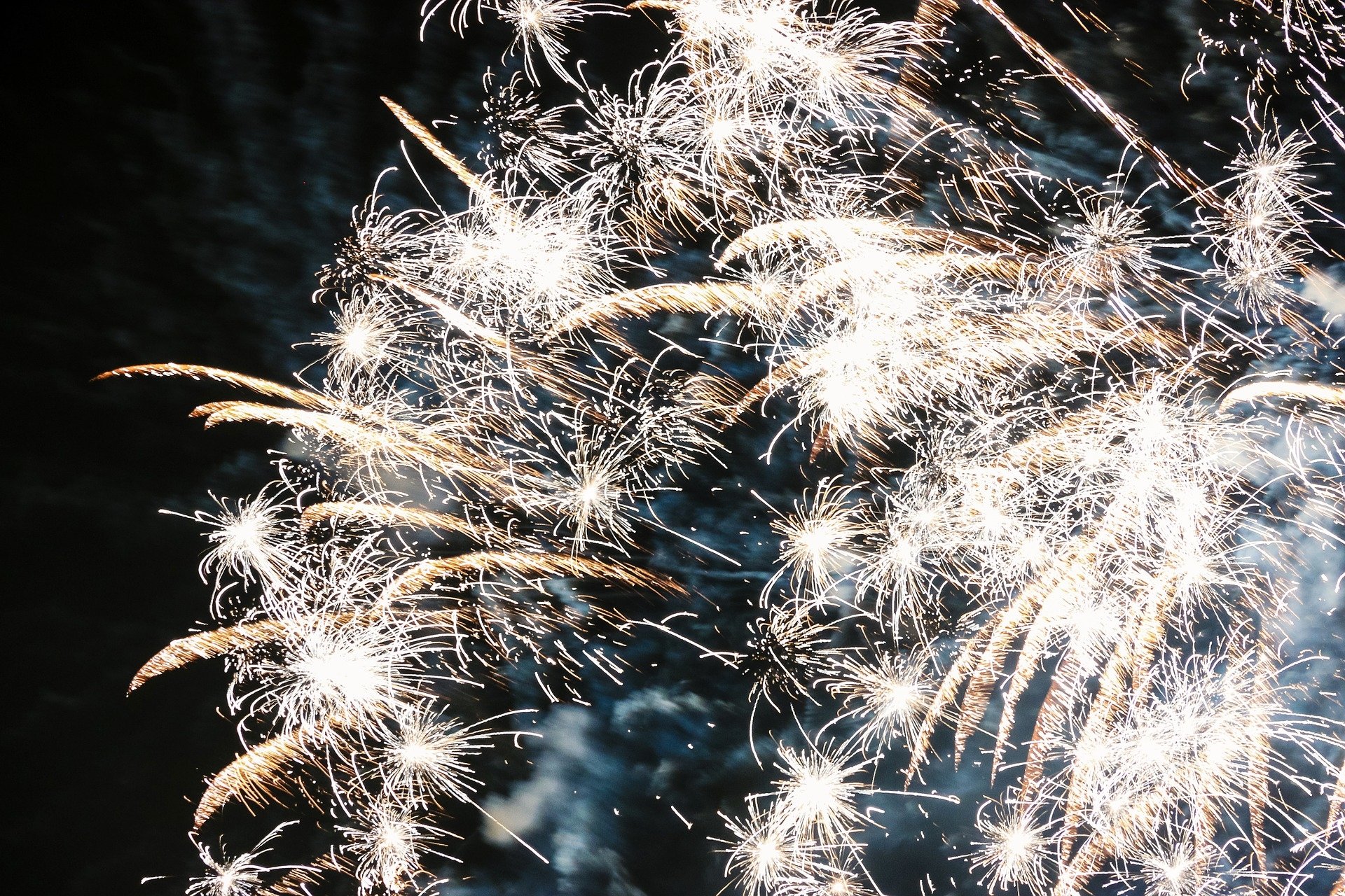 Multiple bursts of fireworks Image - ID: 309010 - Image Abyss