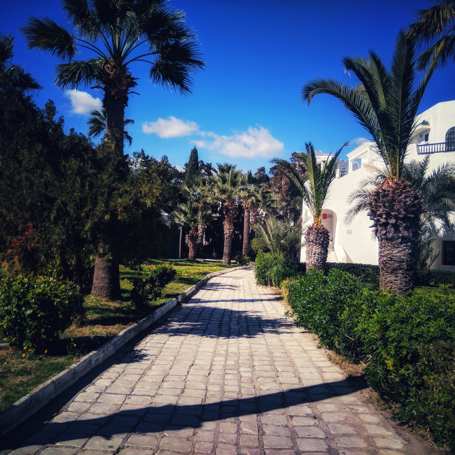 Download Man Made Path Image by nassimOunis12