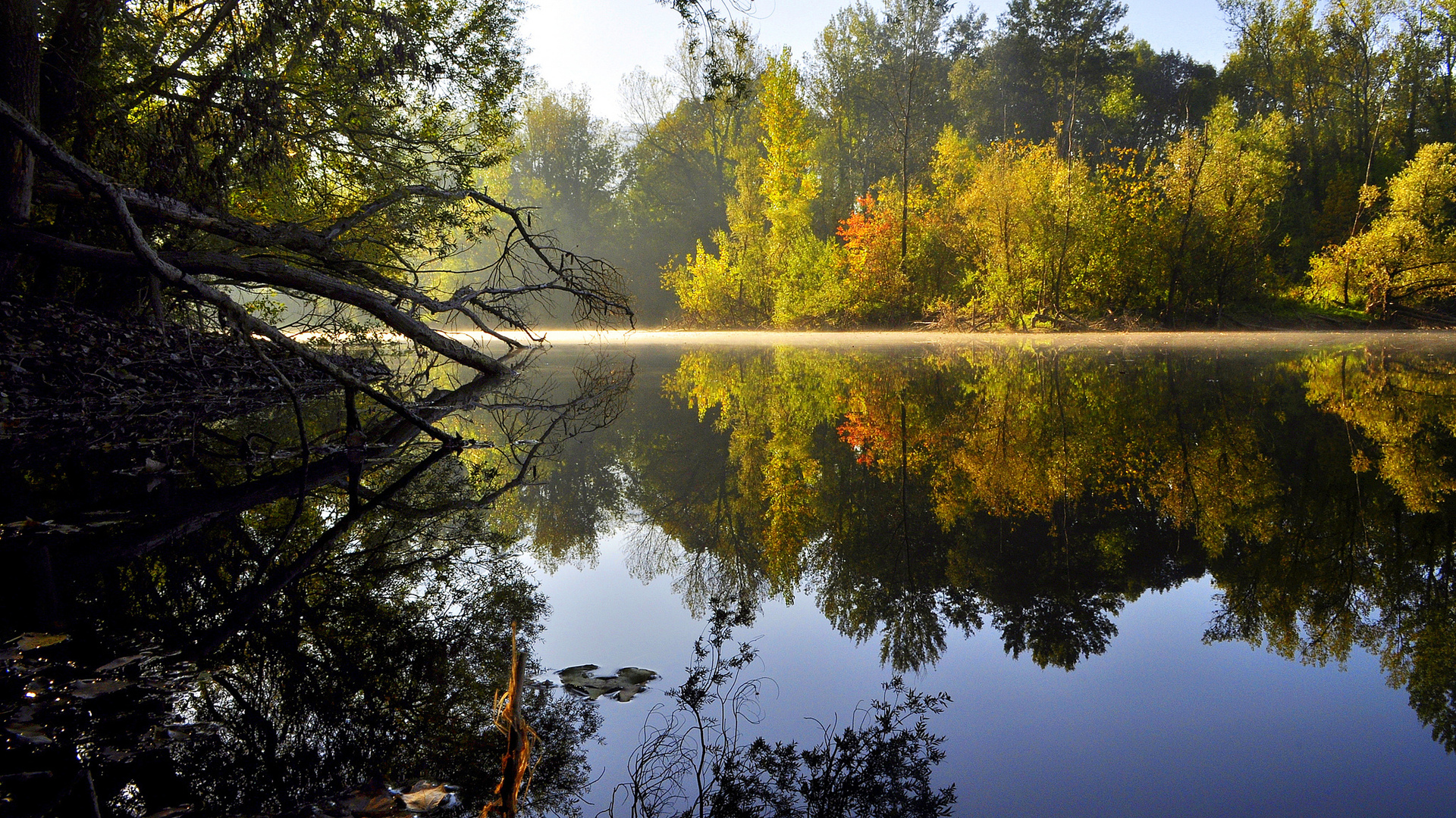 Download Nature Reflection Image