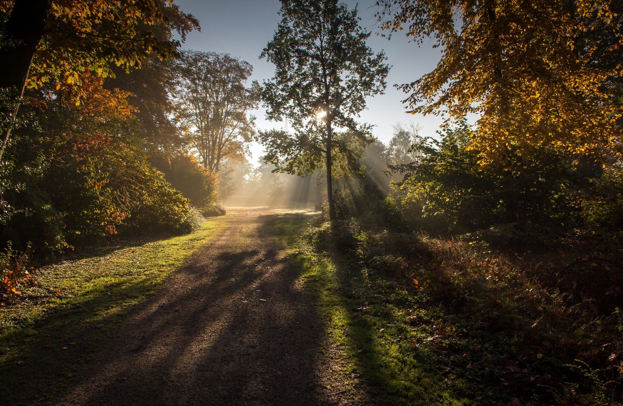 Sunbeam Picture - Image Abyss