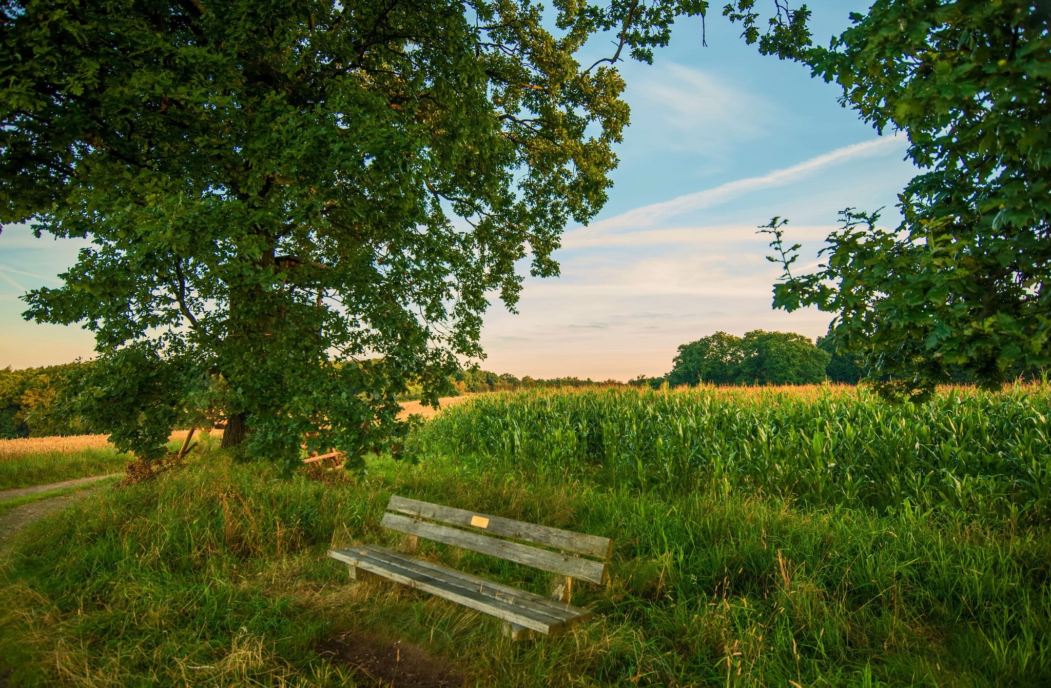 Bench Picture - Image Abyss