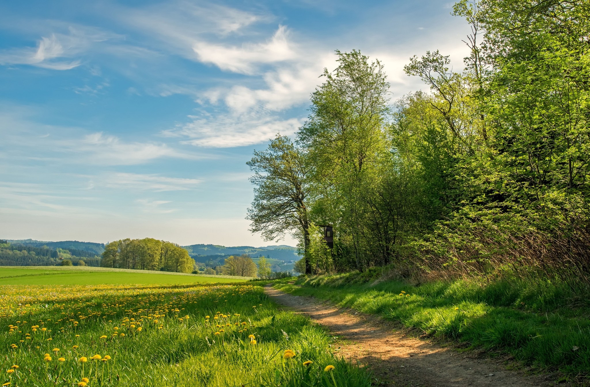 Field Picture - Image Abyss