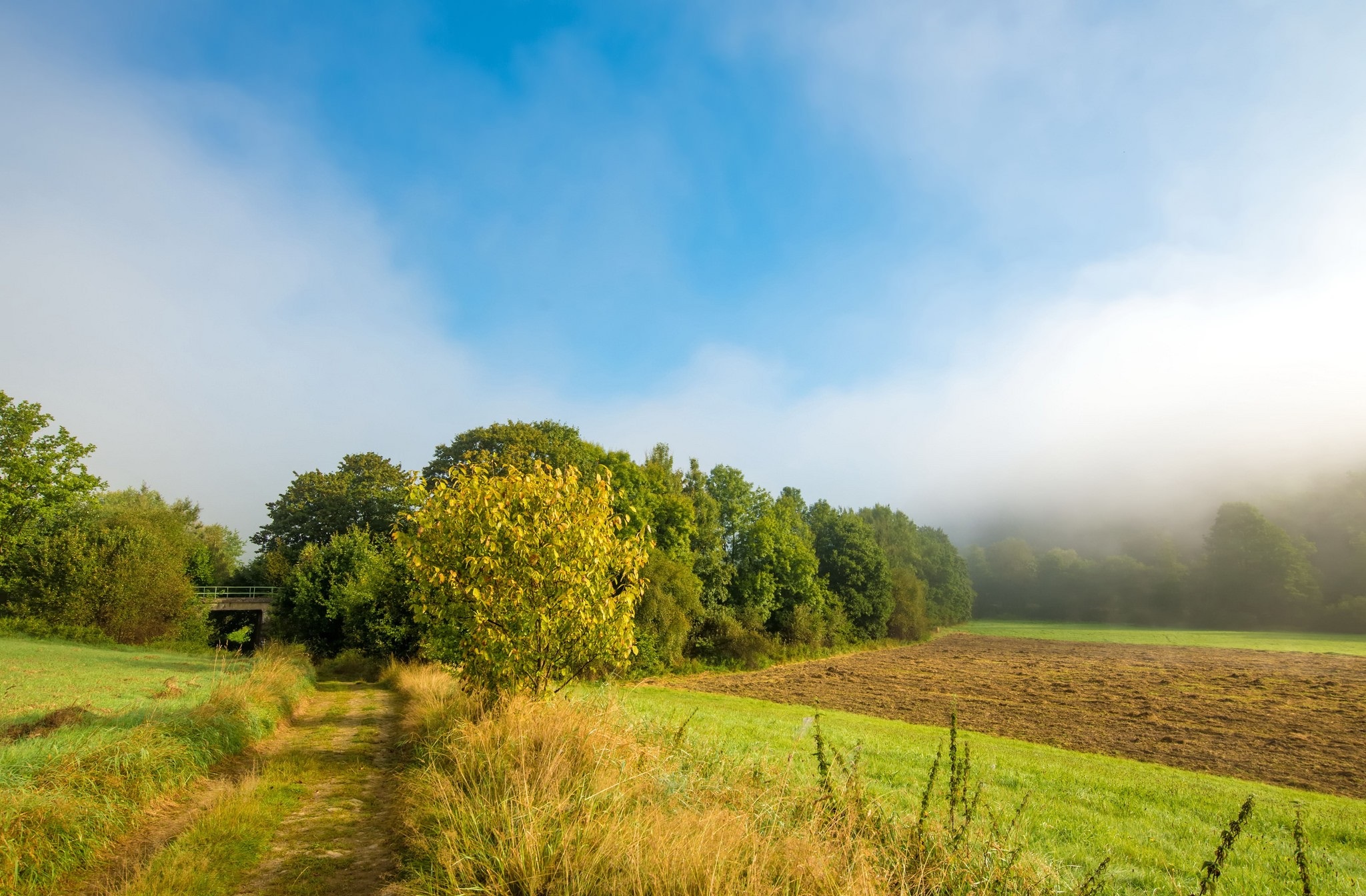 Download Nature Field Image