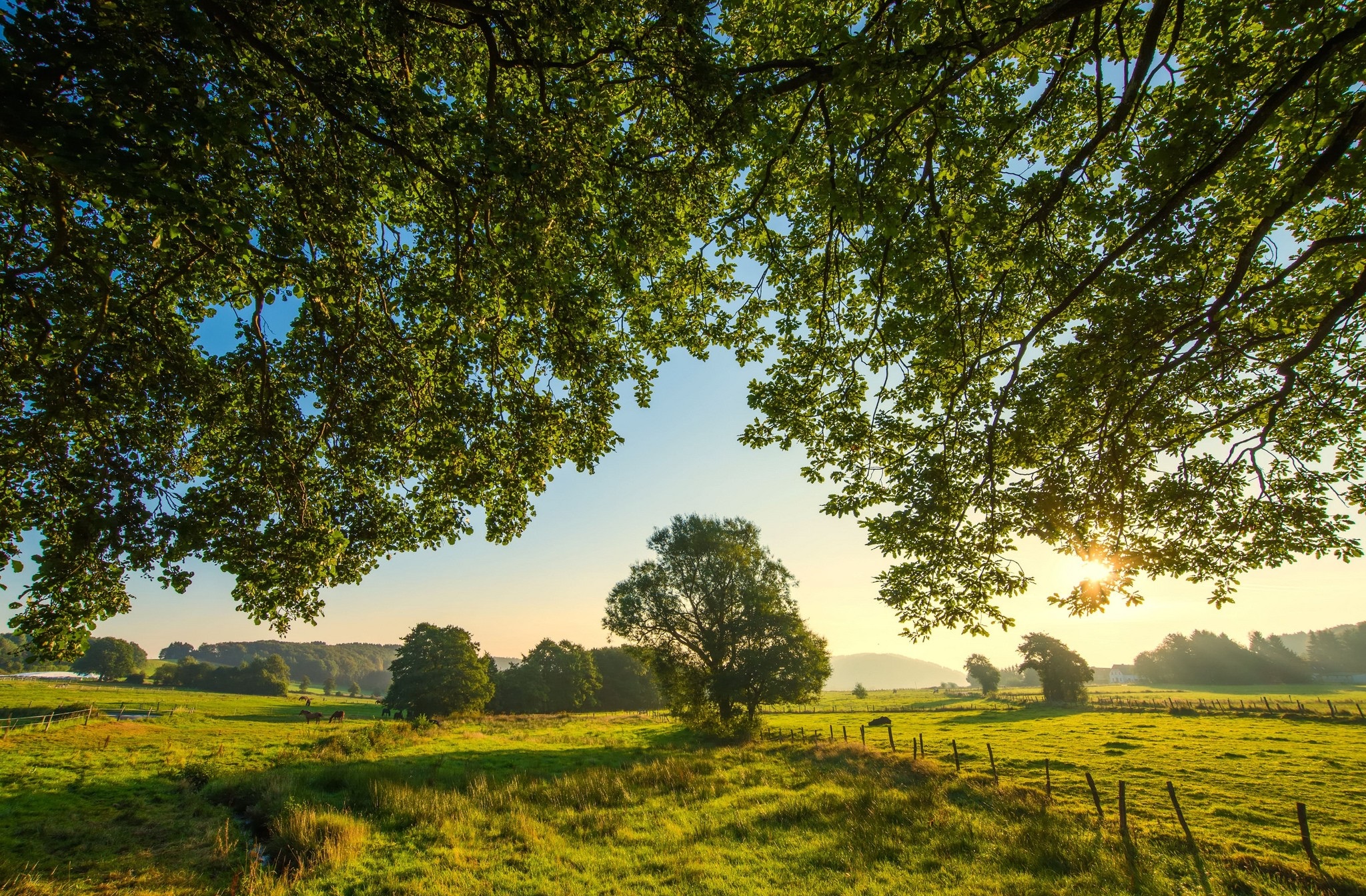 Field Picture - Image Abyss