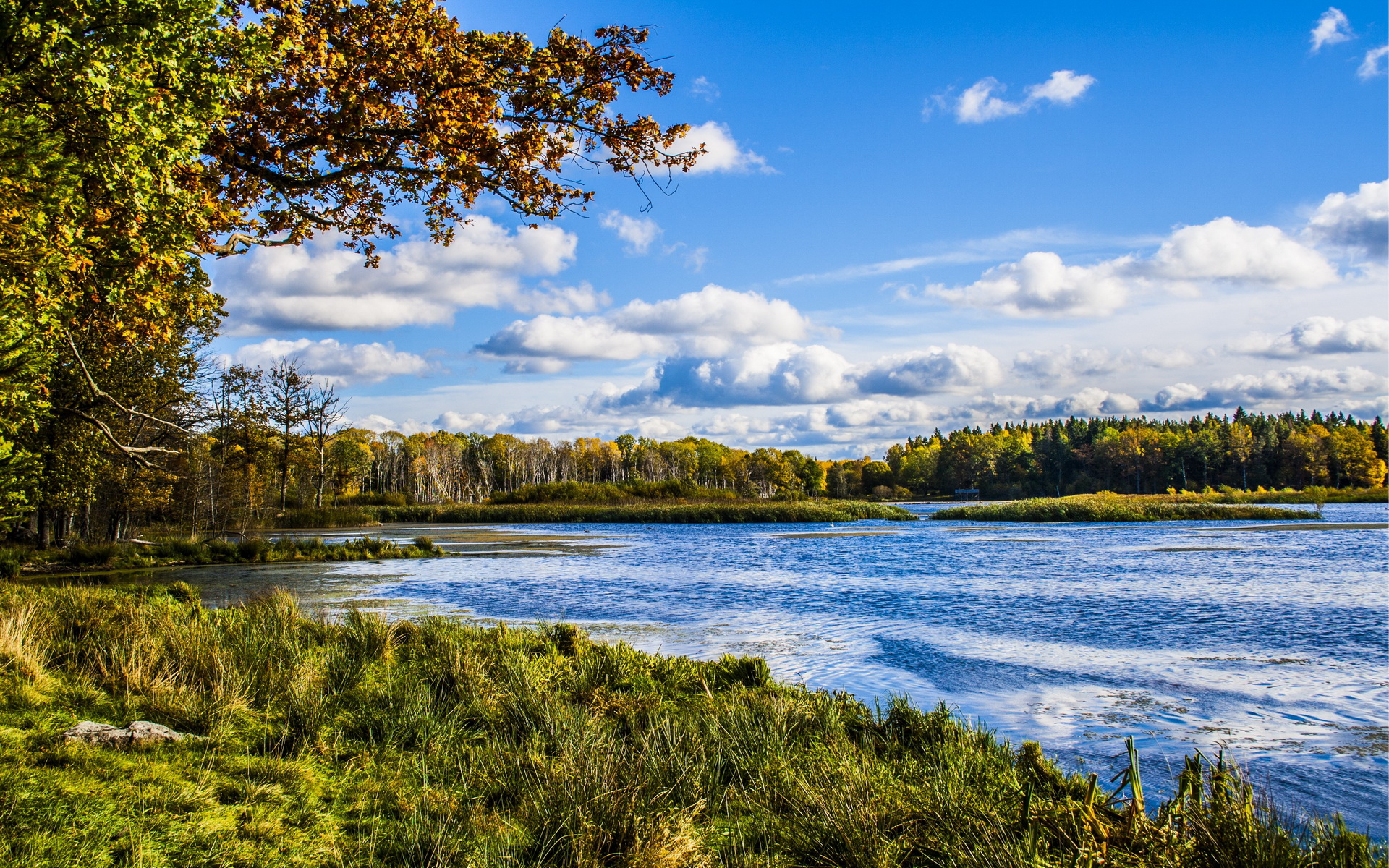 Download Nature River Image