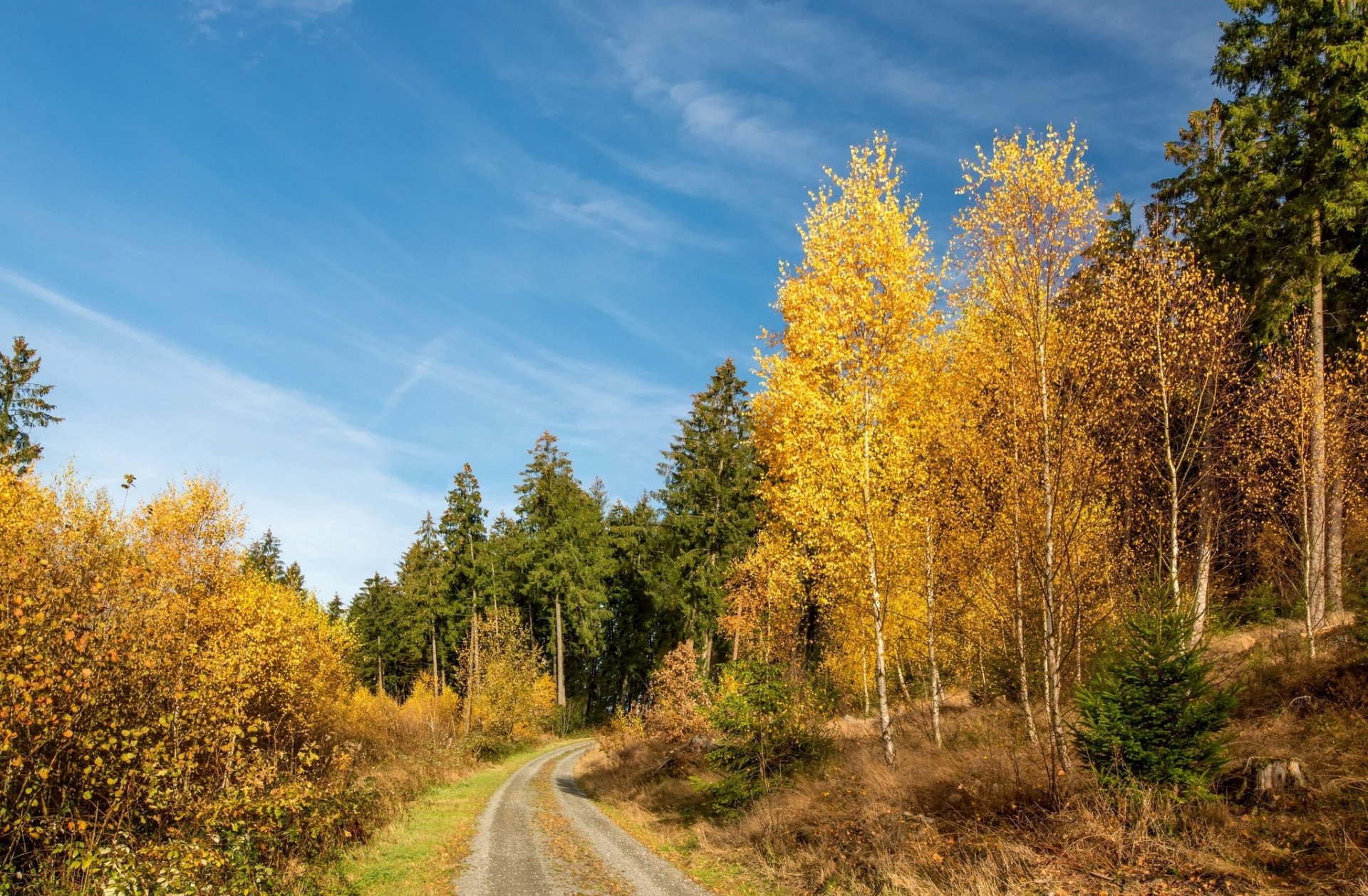 Road Image - ID: 310756 - Image Abyss