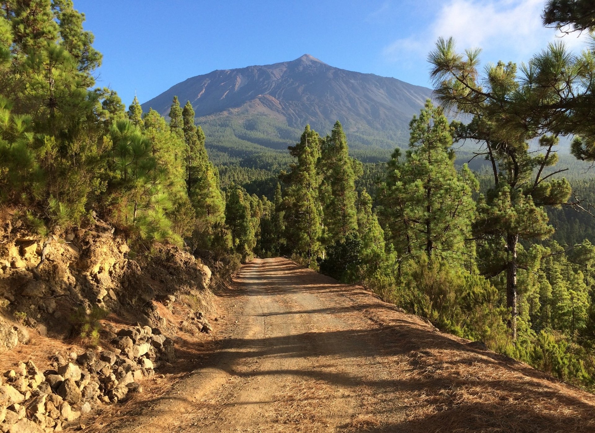 Download Mountain Tree Dirt Road Man Made Road Image