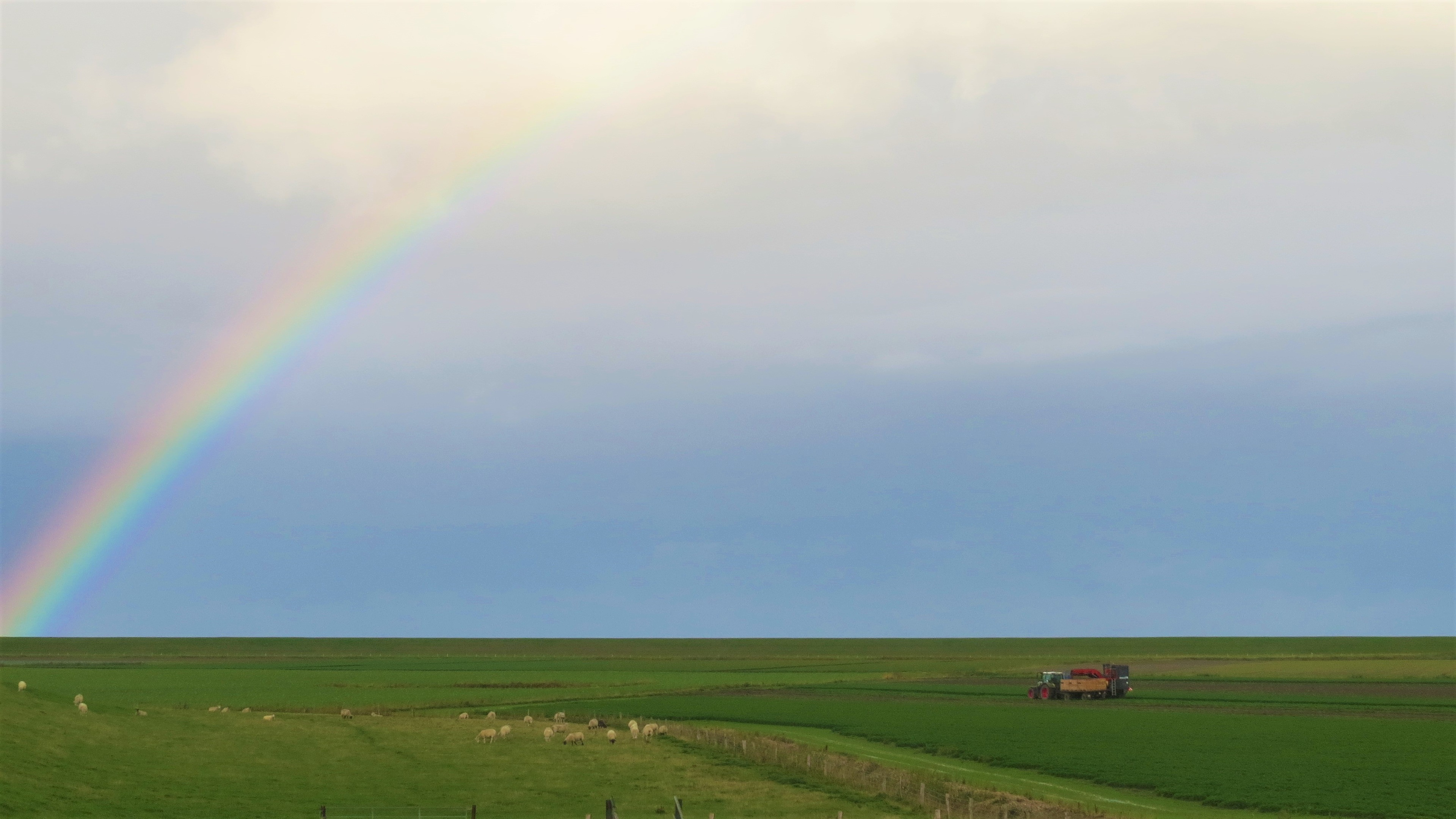 Download Greenery Field Nature Rainbow Image