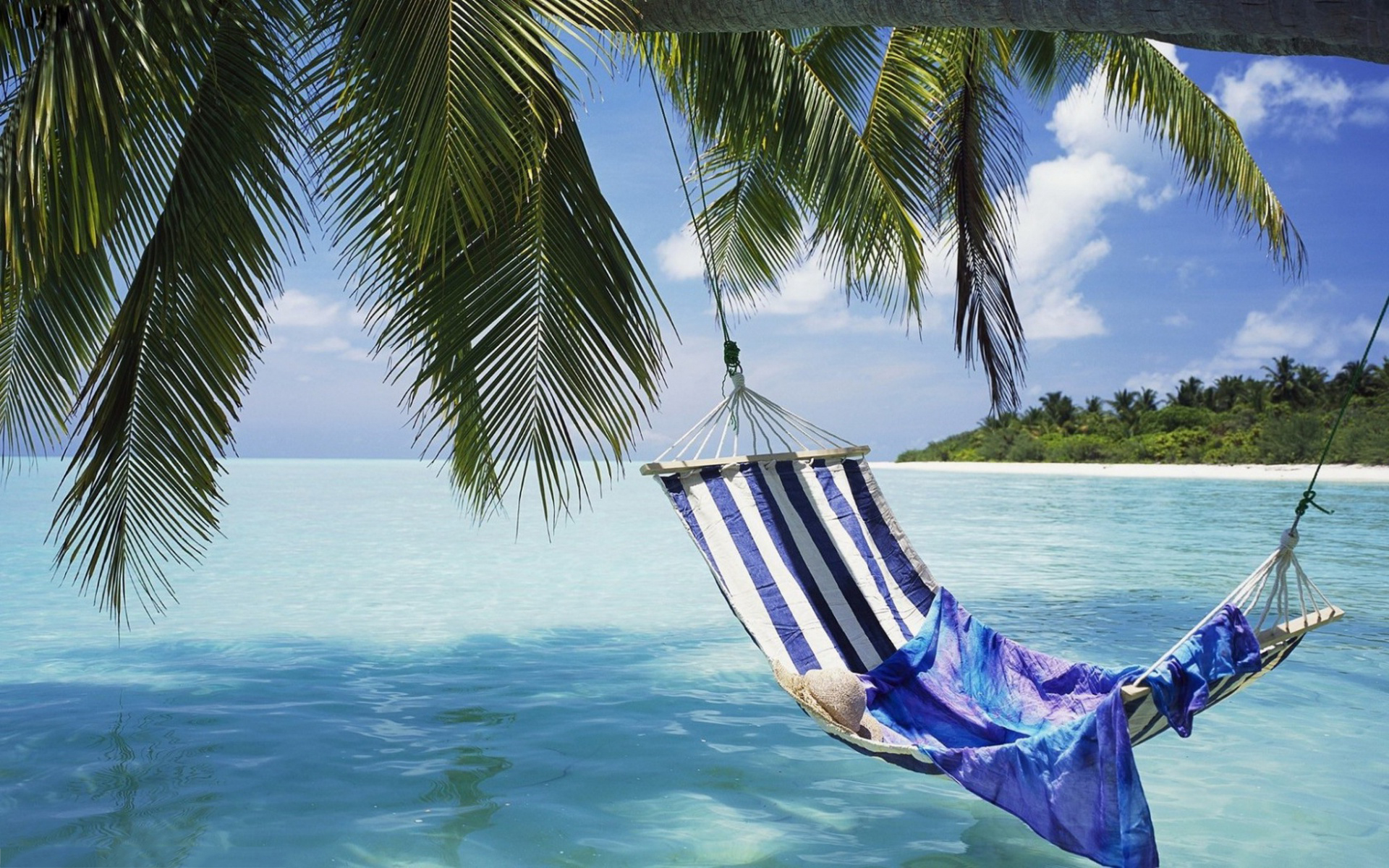 Hammock Hanging On Palm Tree Image Abyss