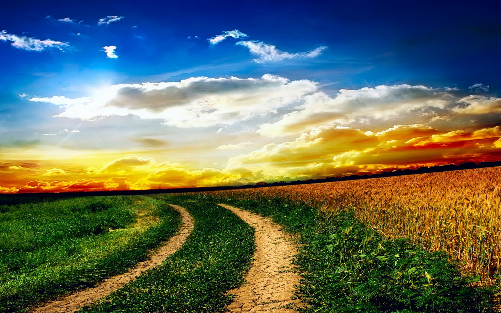 Field Picture - Image Abyss