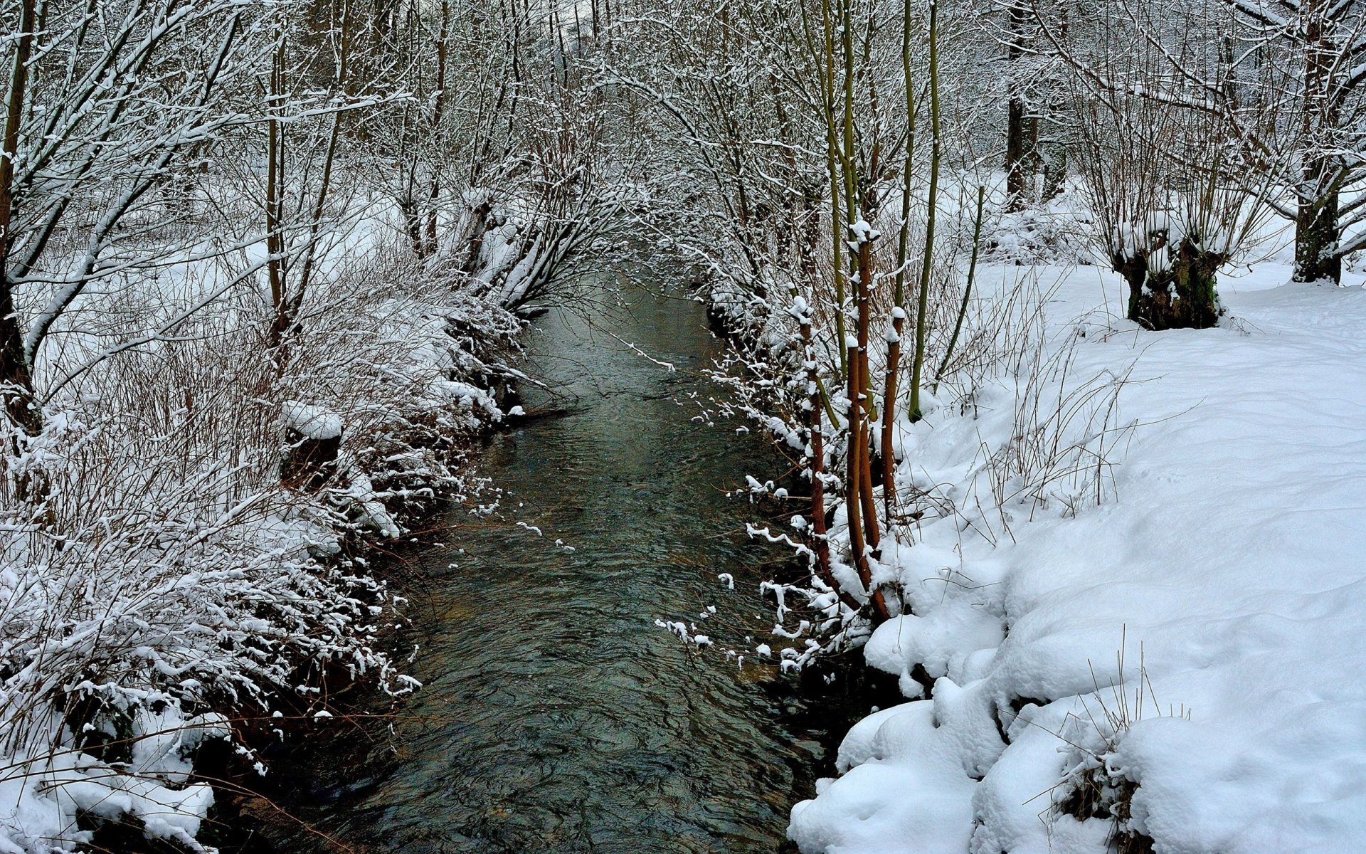 Download Stream Snow Nature Winter Image
