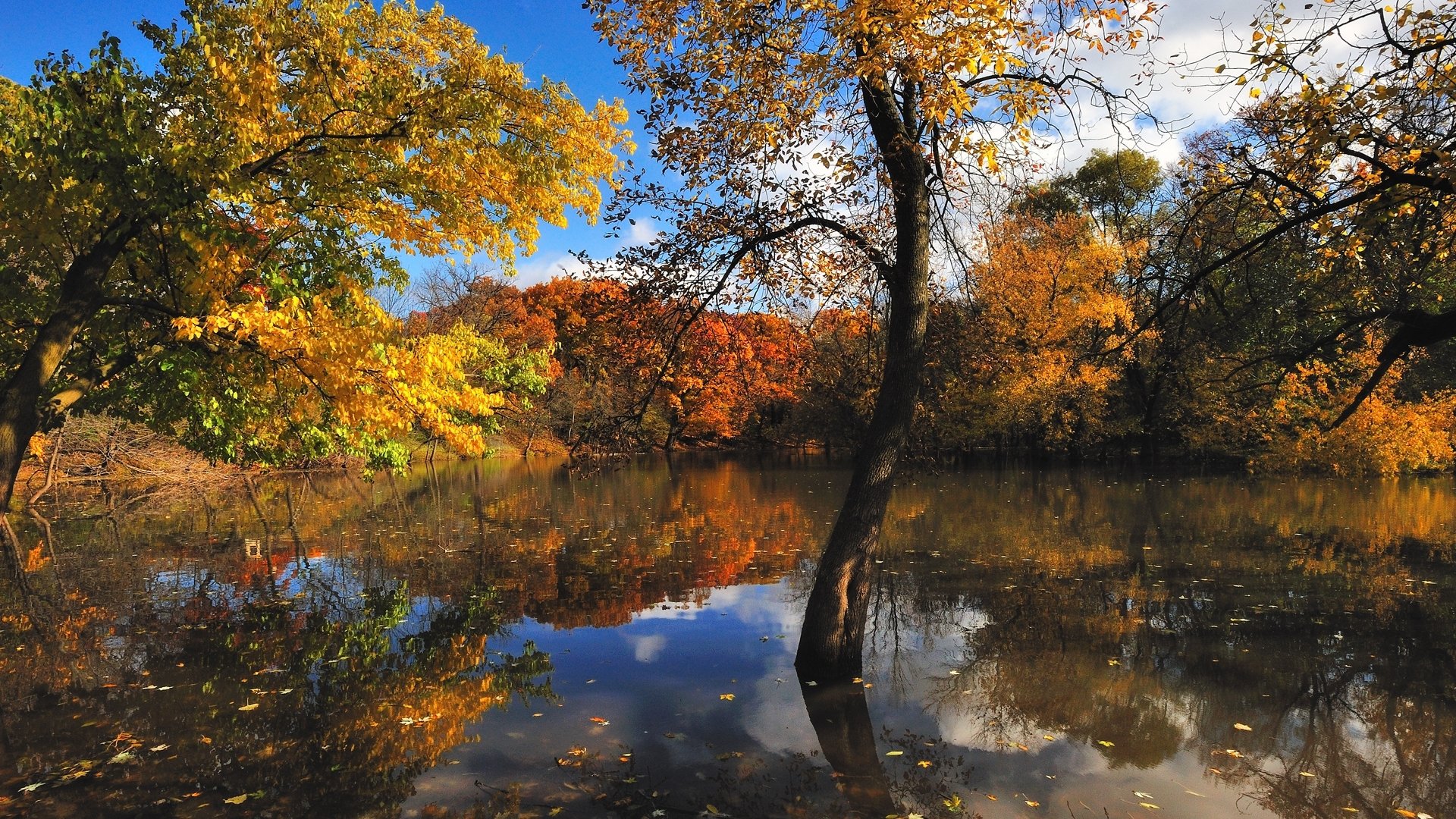 Autumn Reflections: Nature’s Fall Palette