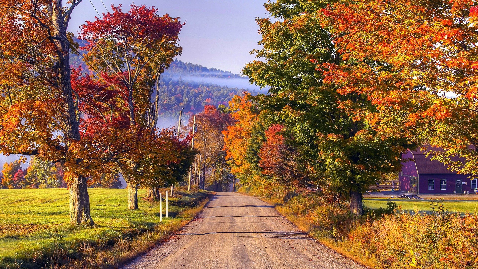 Download Fall Tree Dirt Road Man Made Road Image