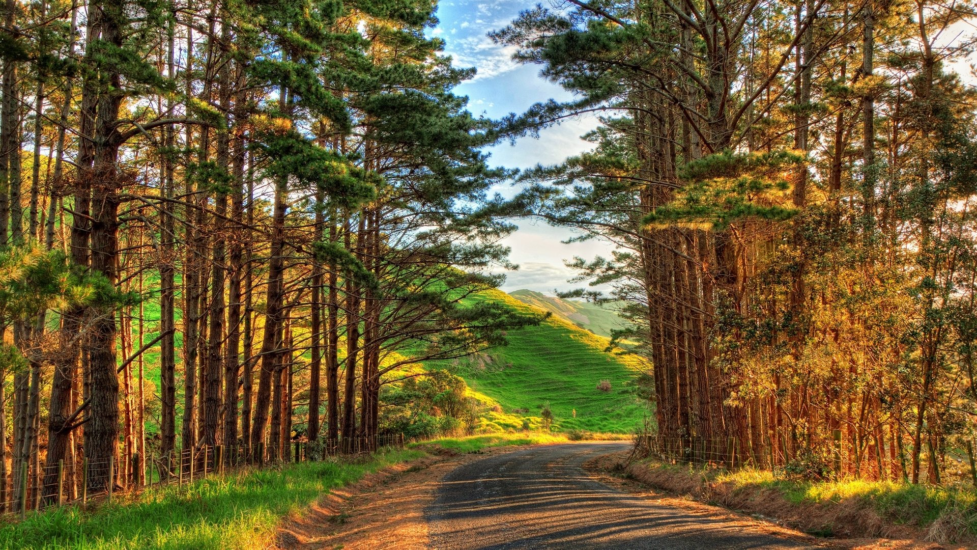 Download Man Made Road Image
