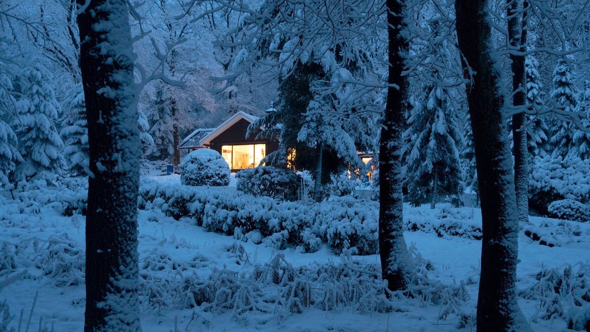 Download Night Winter Snow Man Made House Winter Night Night Snow Image