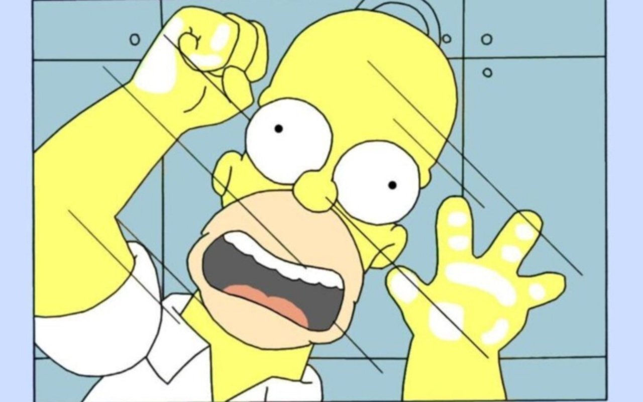 Download Homer Simpson TV Show The Simpsons Image