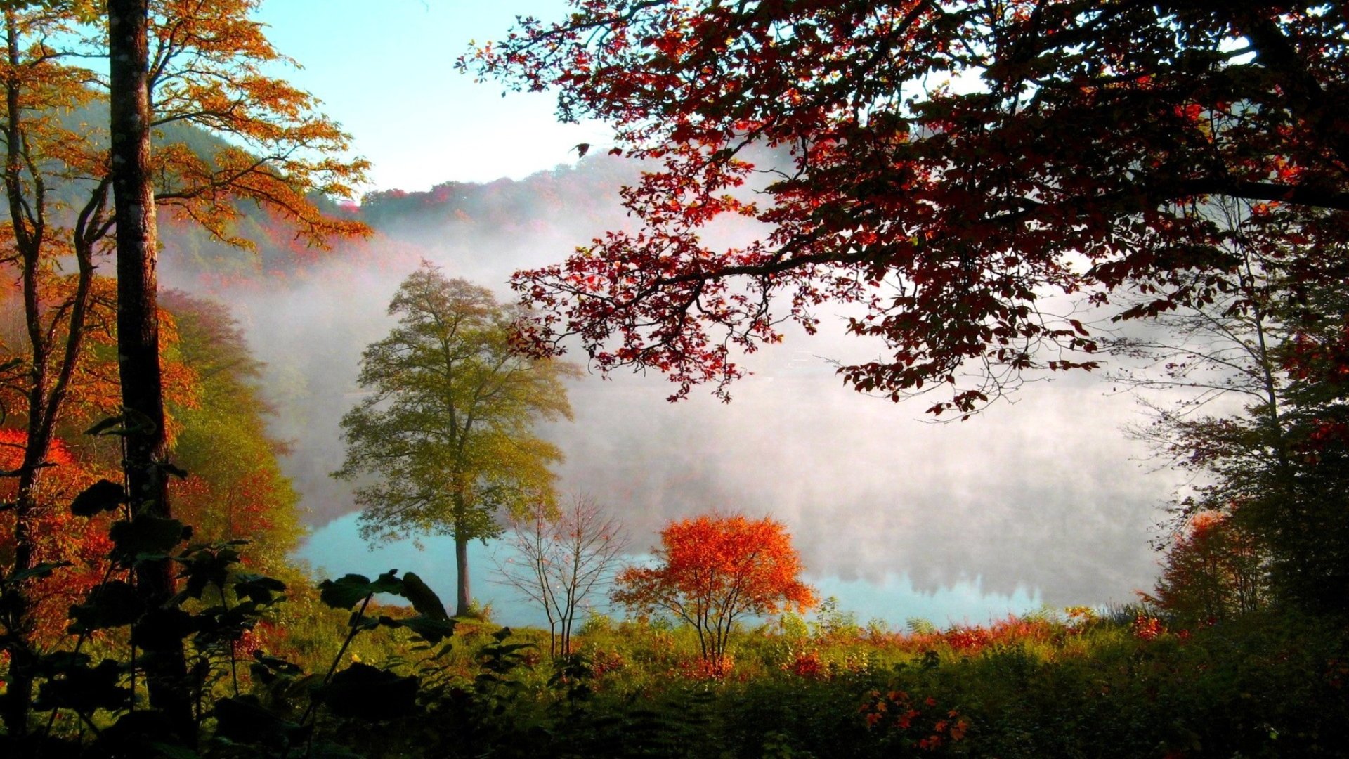 Lake on Misty Autumn Day Image - ID: 313758 - Image Abyss