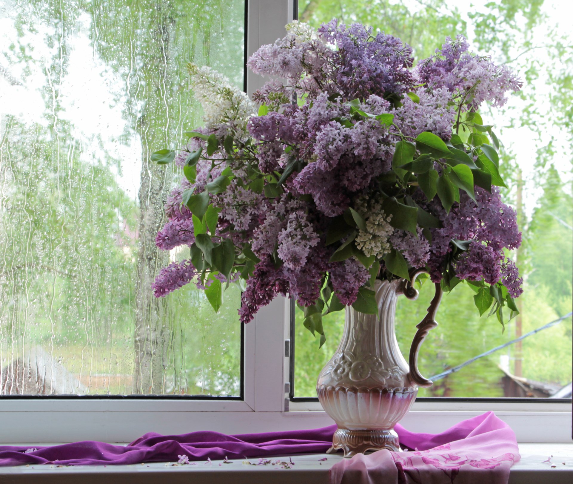 Download Window Lilac Flower Vase Photography Still Life Image