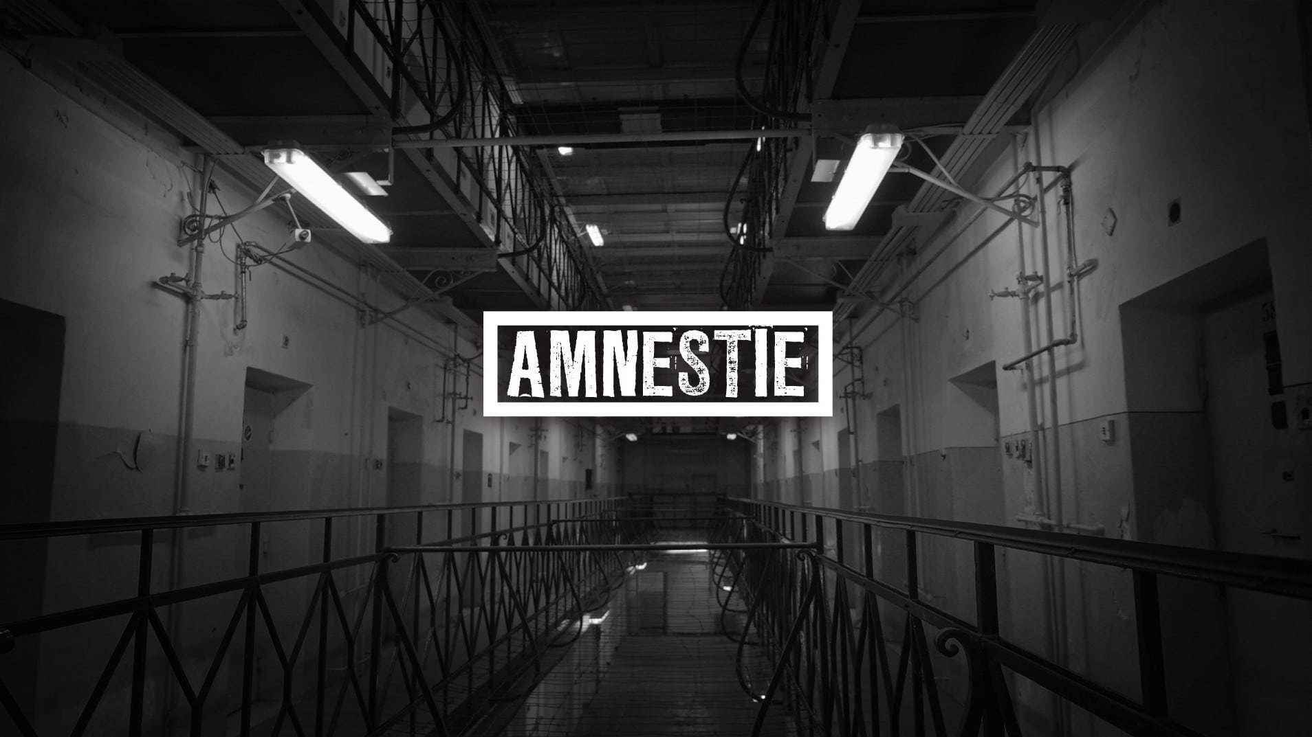 Amnesty - Desktop Wallpapers, Phone Wallpaper, PFP, Gifs, and More!