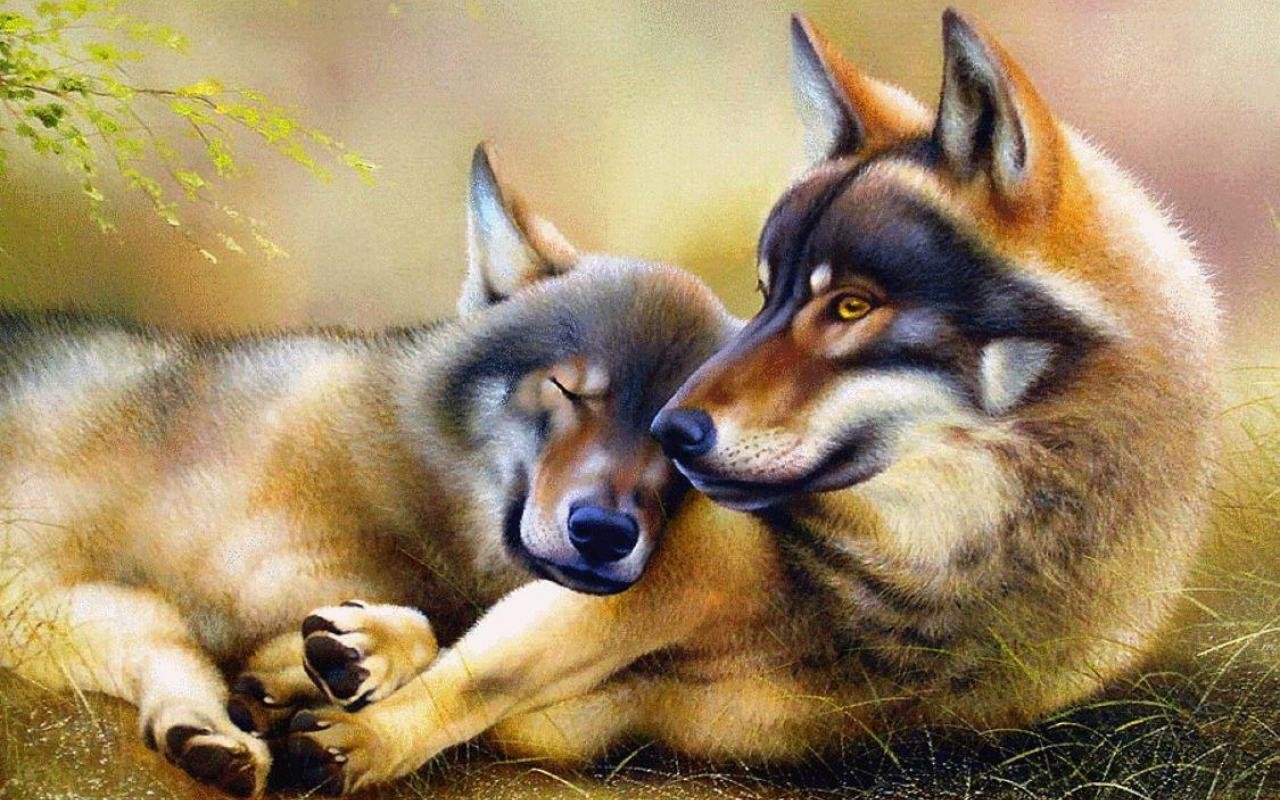 Serene Moments: A Wolf and Its Pup