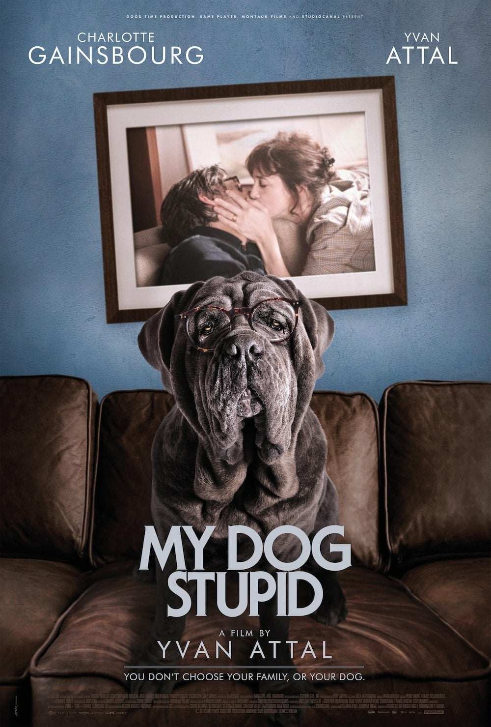 My Dog Stupid Picture Image Abyss my-dog-stupid-picture-image-abyss