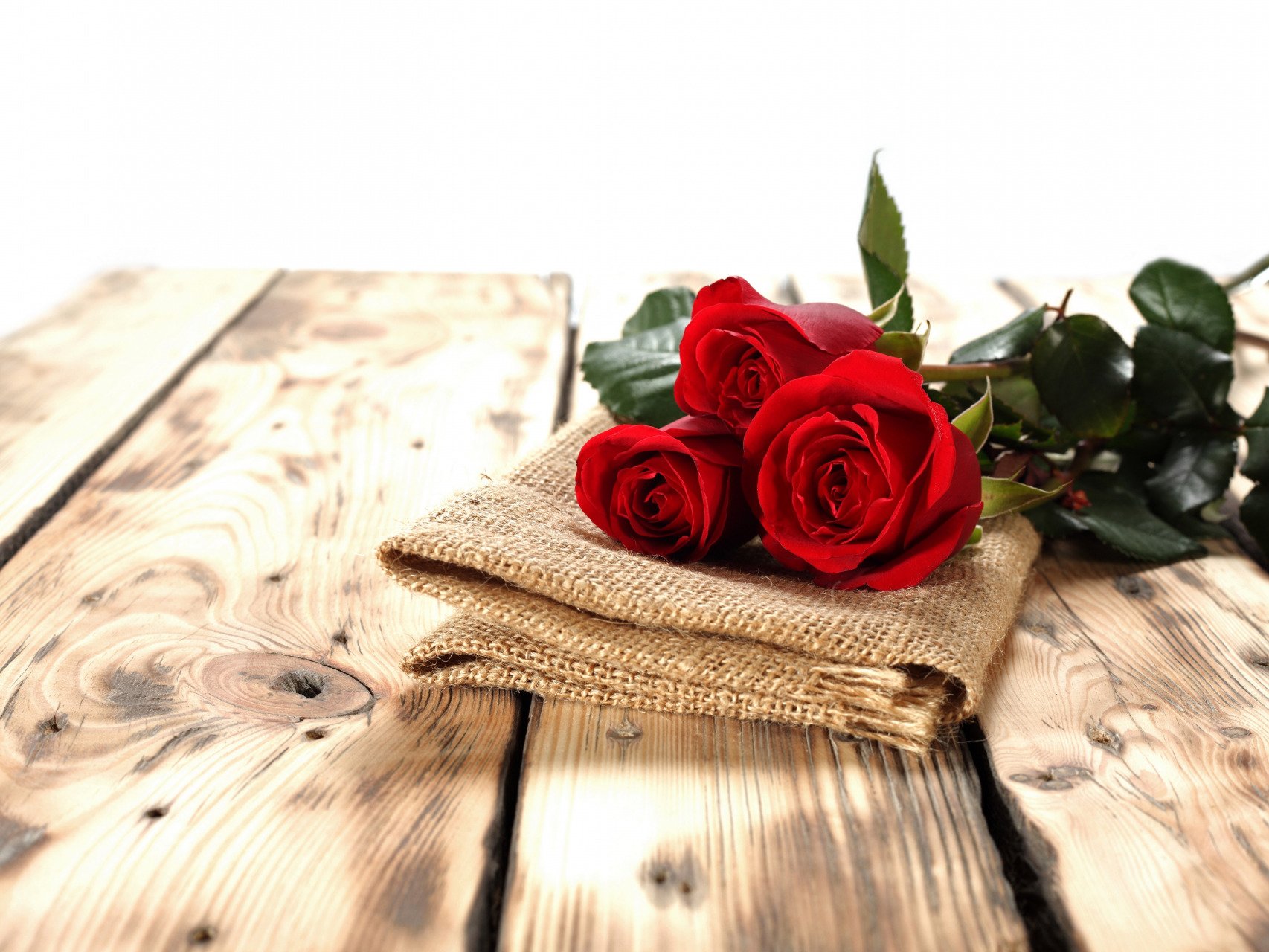 Download Red Rose Rose Man Made Flower Image