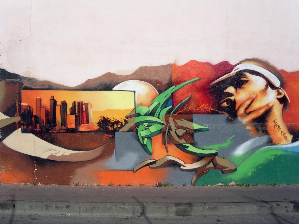 Vibrant Urban Expressions: Artistic Graffiti Art