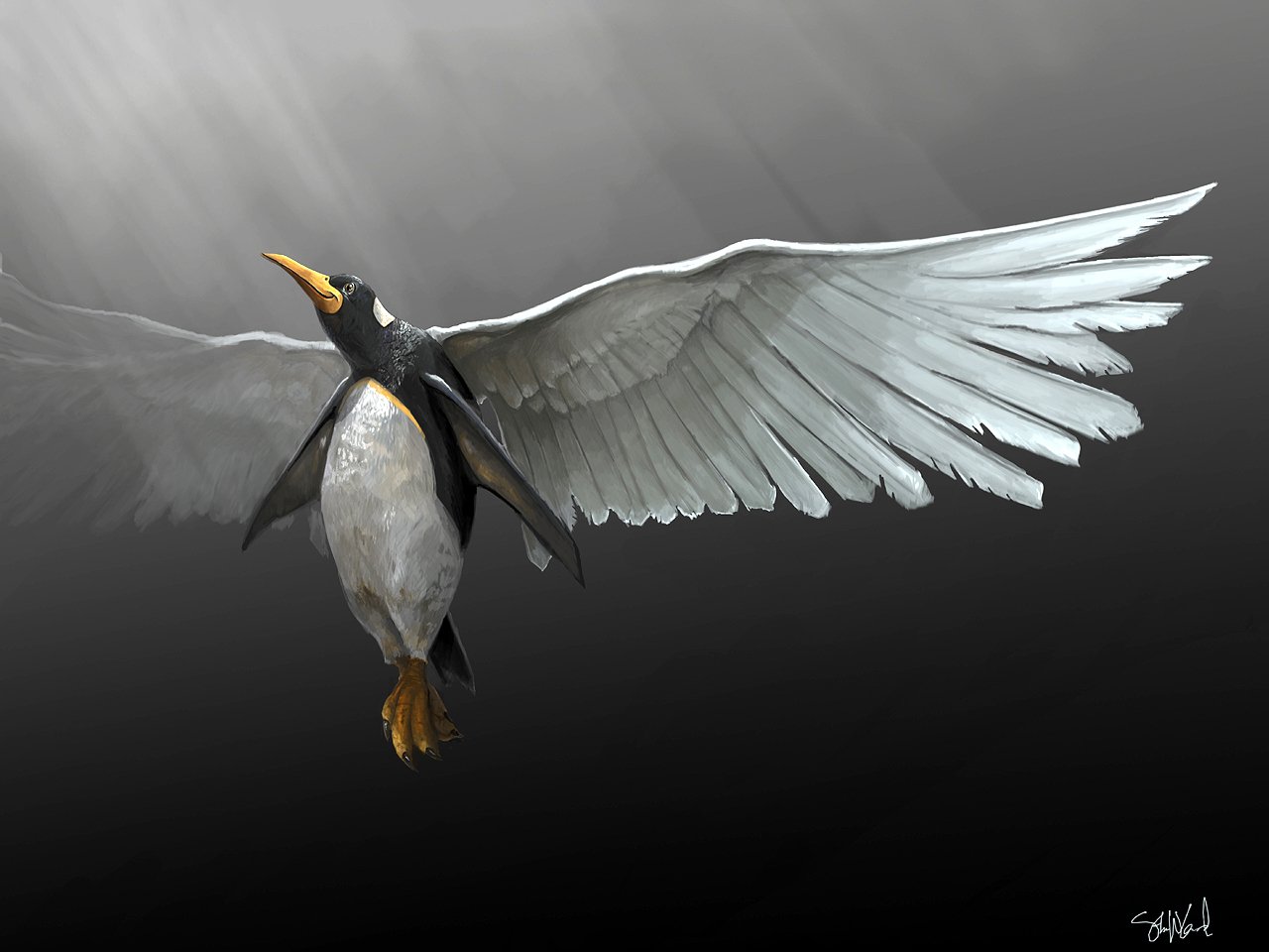 Wings of Imagination: The Artistic Penguin