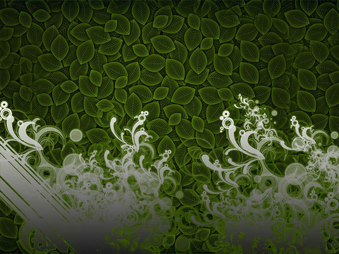 Leaf Desktop Wallpapers Phone Wallpaper Pfp S And More